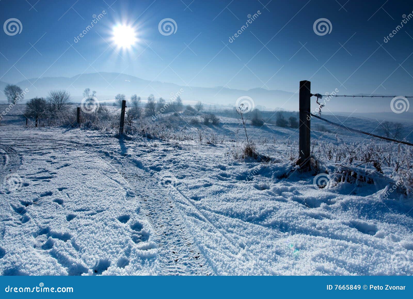 Blue winter stock image. Image of winter, daylight, frostiness - 7665849