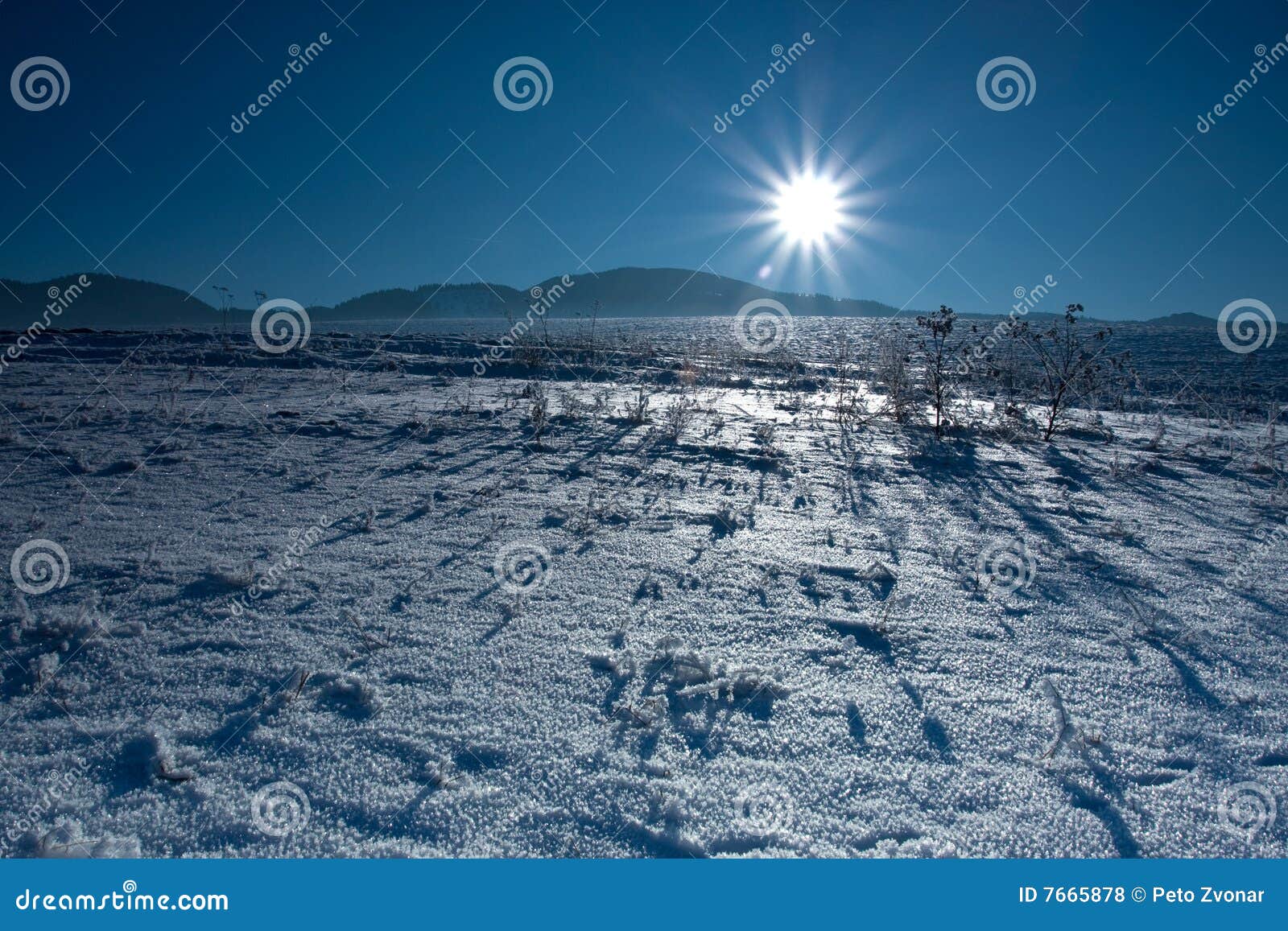 Blue winter stock photo. Image of blue, bright, frost - 7665878