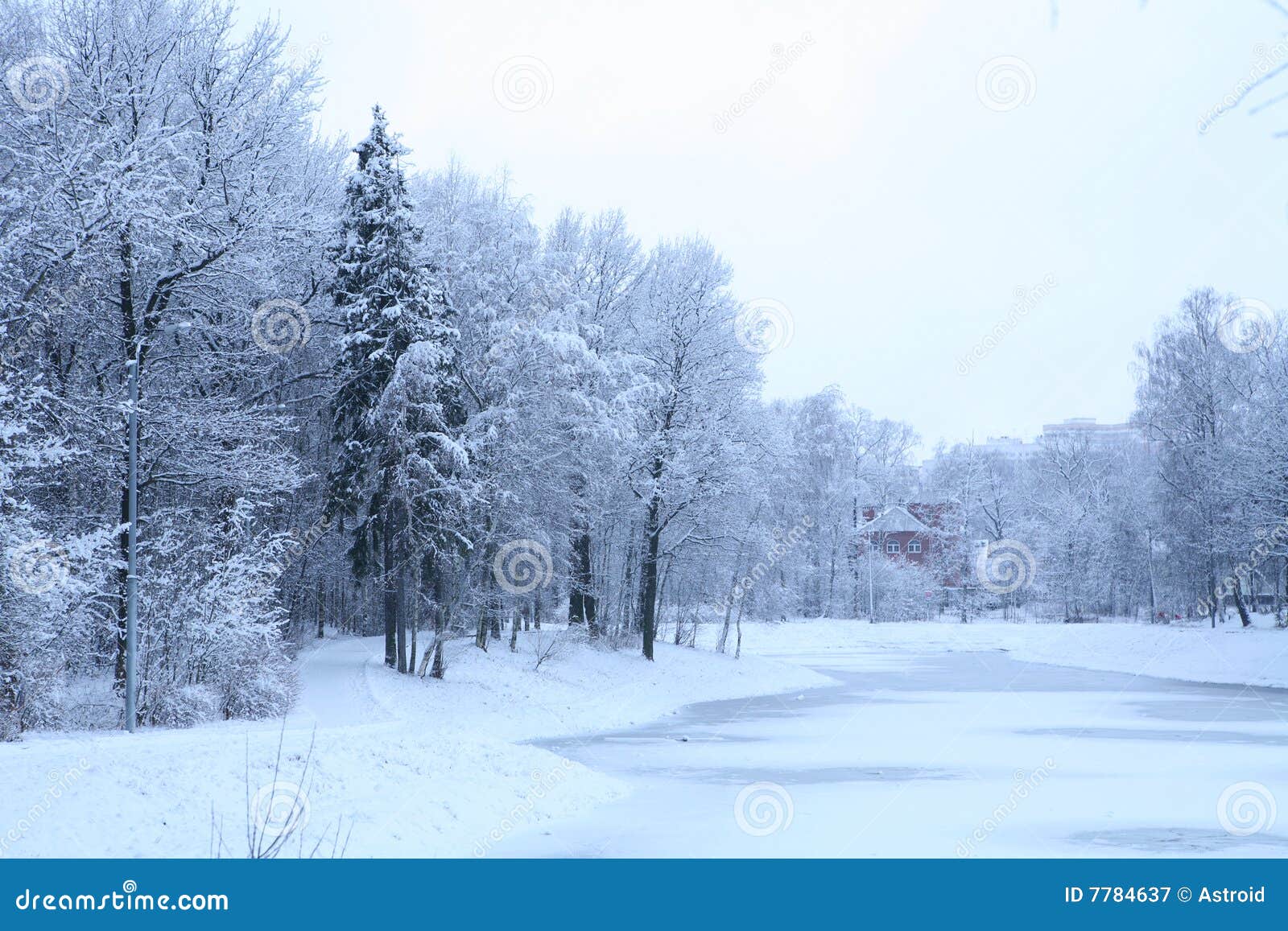 Blue winter landscape stock image. Image of cold, season - 7784637