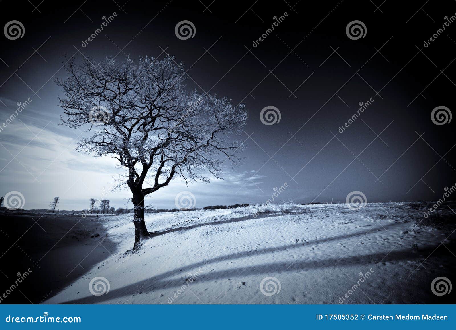 Blue winter night stock photo. Image of landscape, outdoor - 17585352