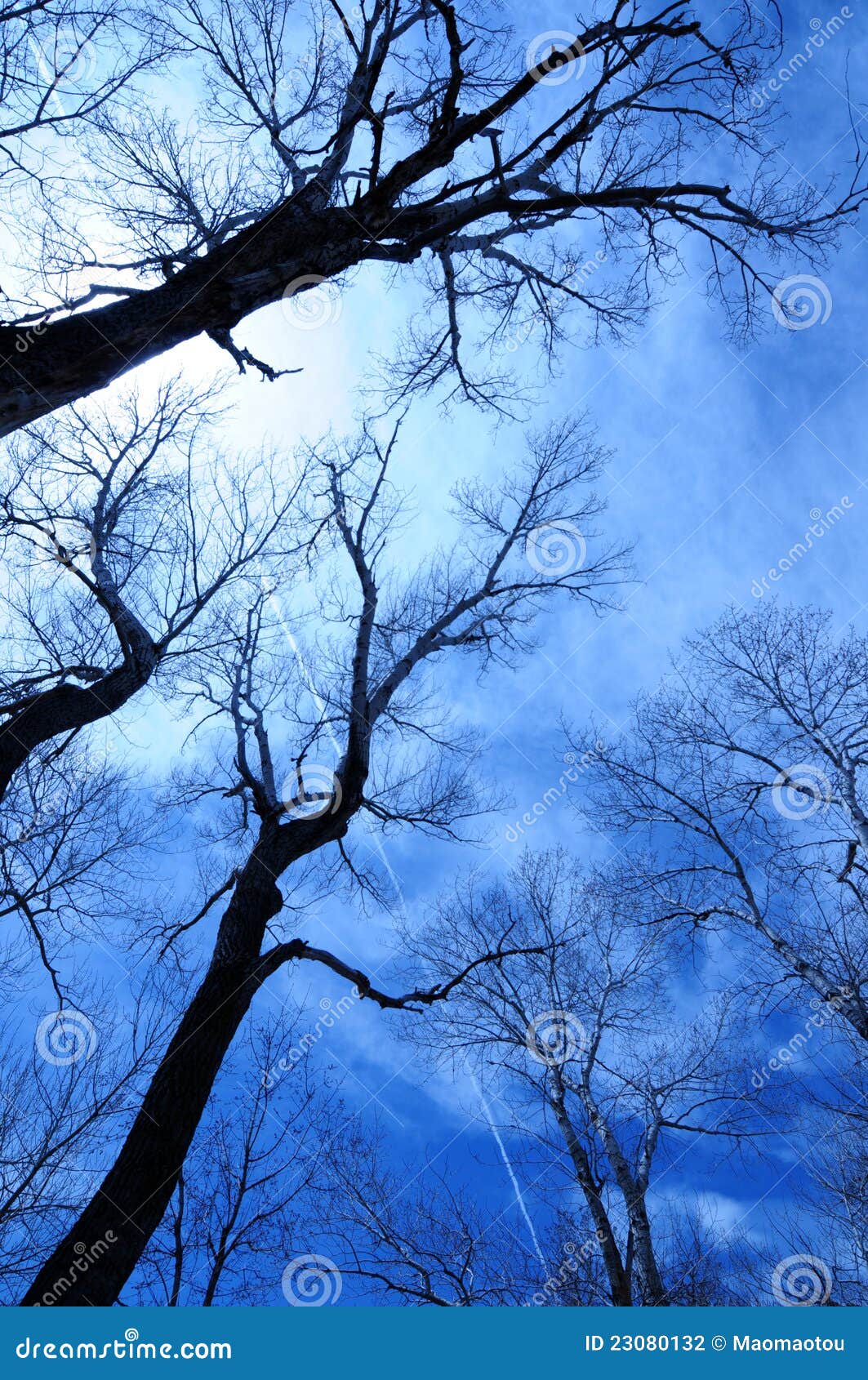Blue Winter Sky stock photo. Image of sunlight, color - 23080132