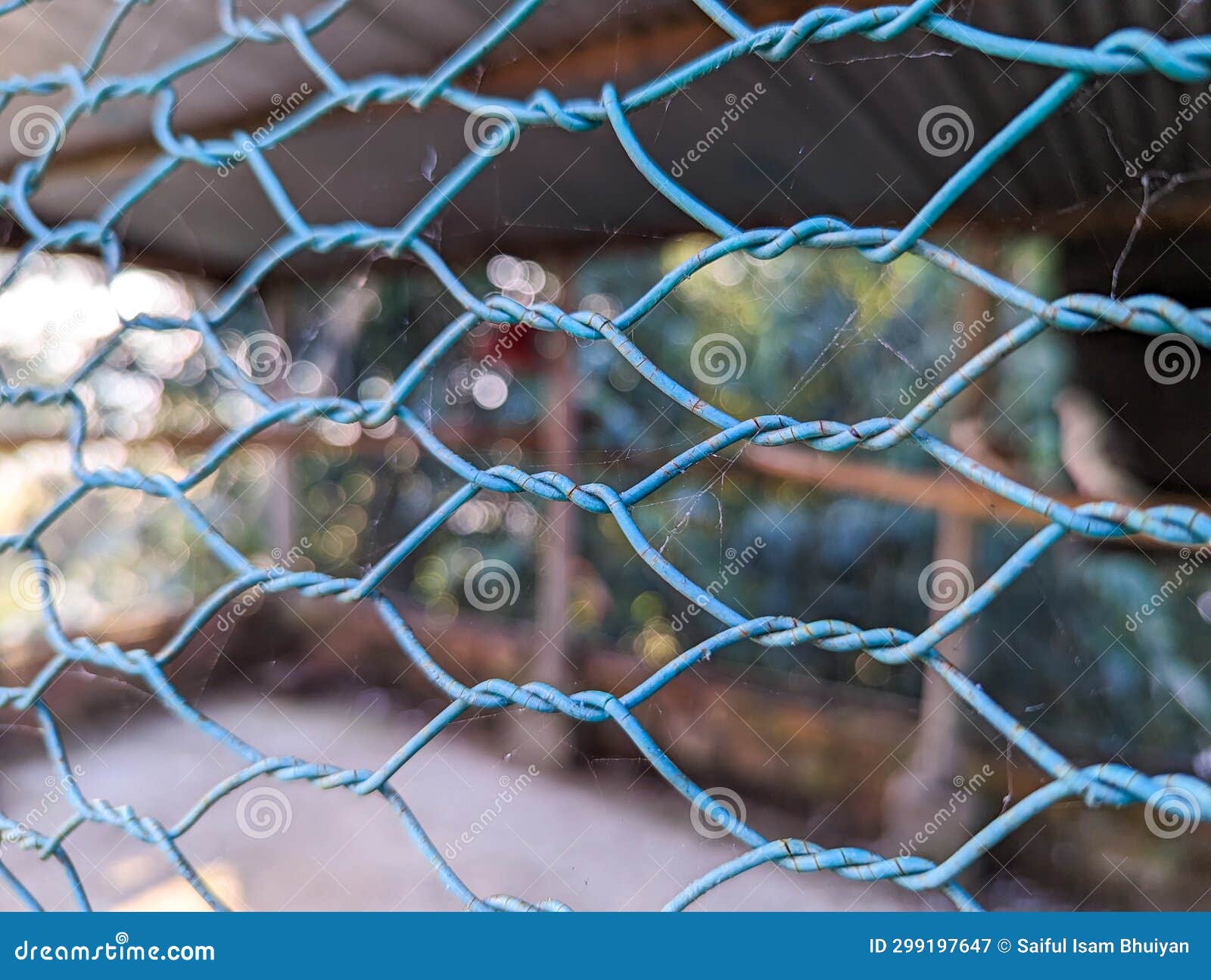 Blue Wire Mesh Fence in the Garden with Blurred Background and Copy ...