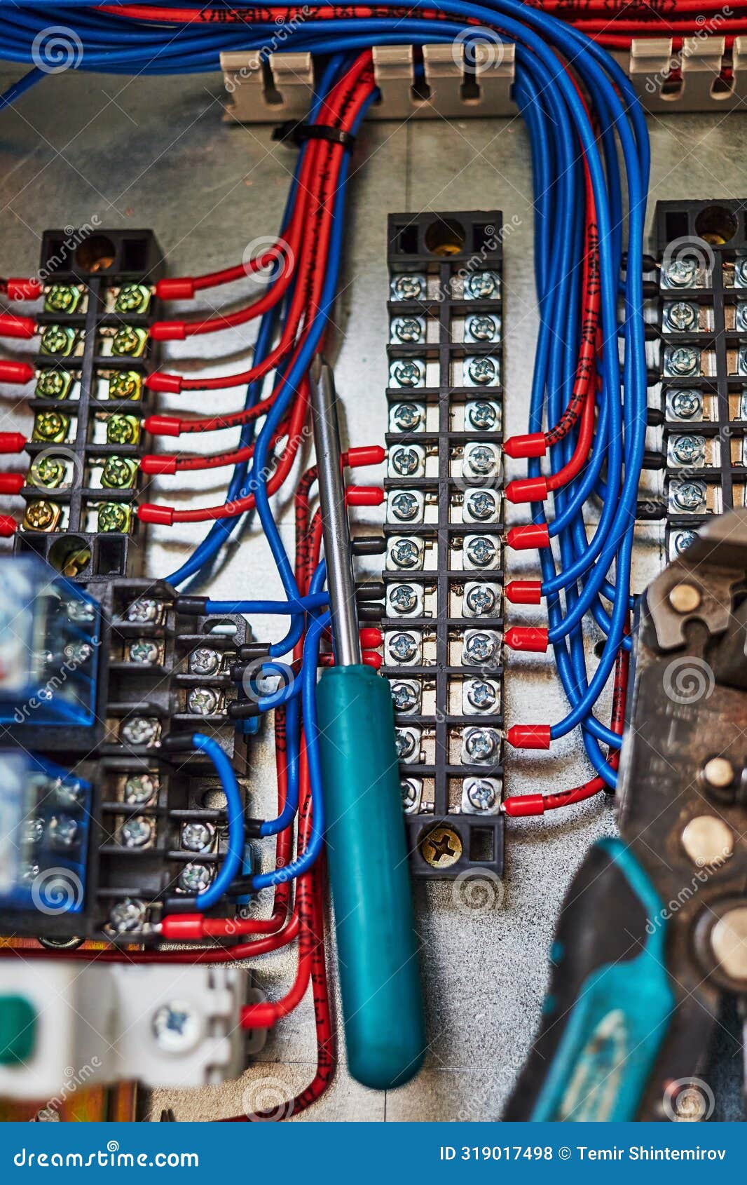 Blue Wires Connected To the Contact Strip and Relays Stock Photo ...
