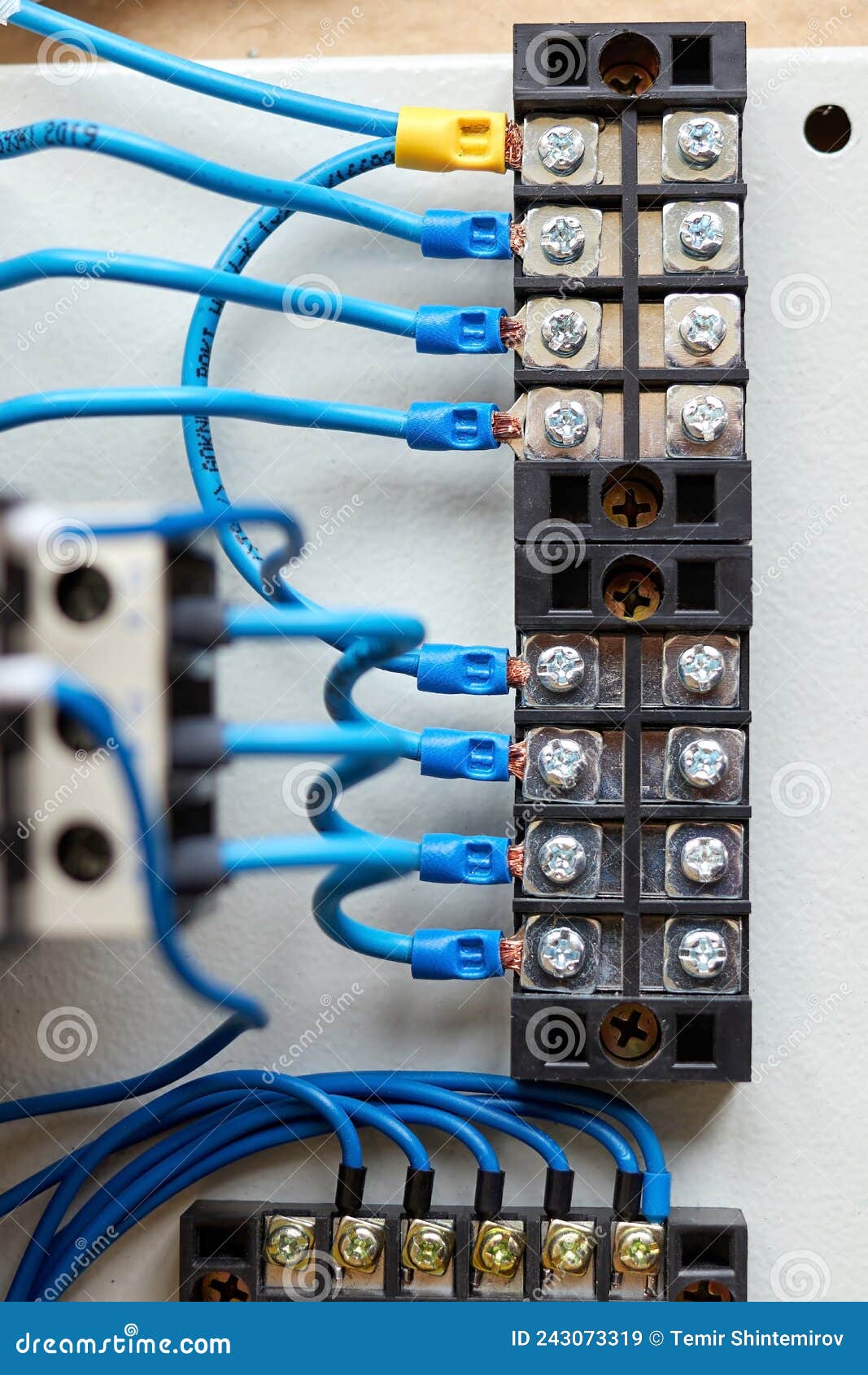 Blue Wires Connected To the Contact Strip Stock Image - Image of wires ...