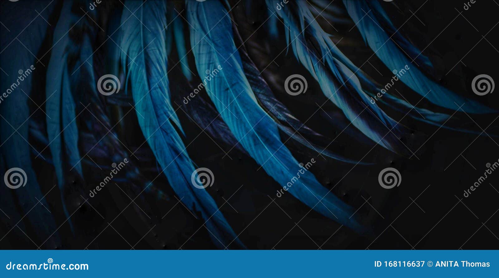 Blue, Wispy, Dreamy,feathers,black, Indian Stock Image - Image of blue ...