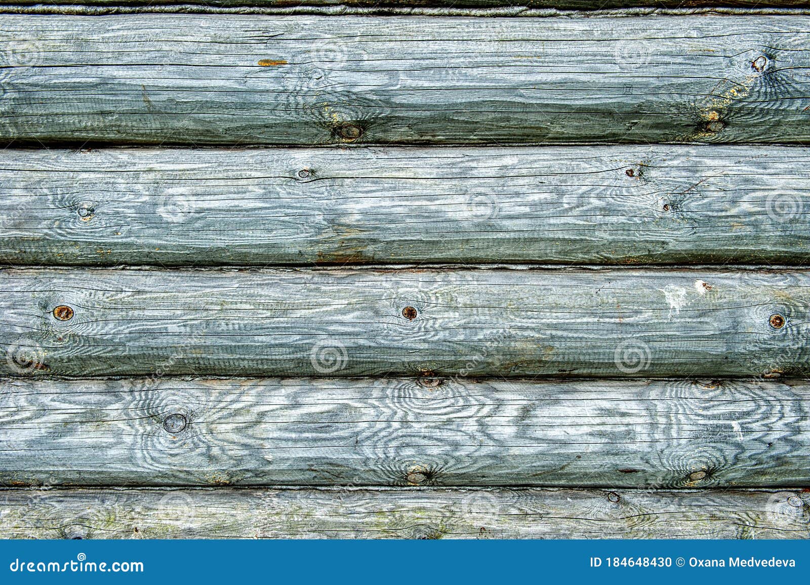Blue Wooden Background. Texture of the Tree on Round Logs in Blue Stock ...