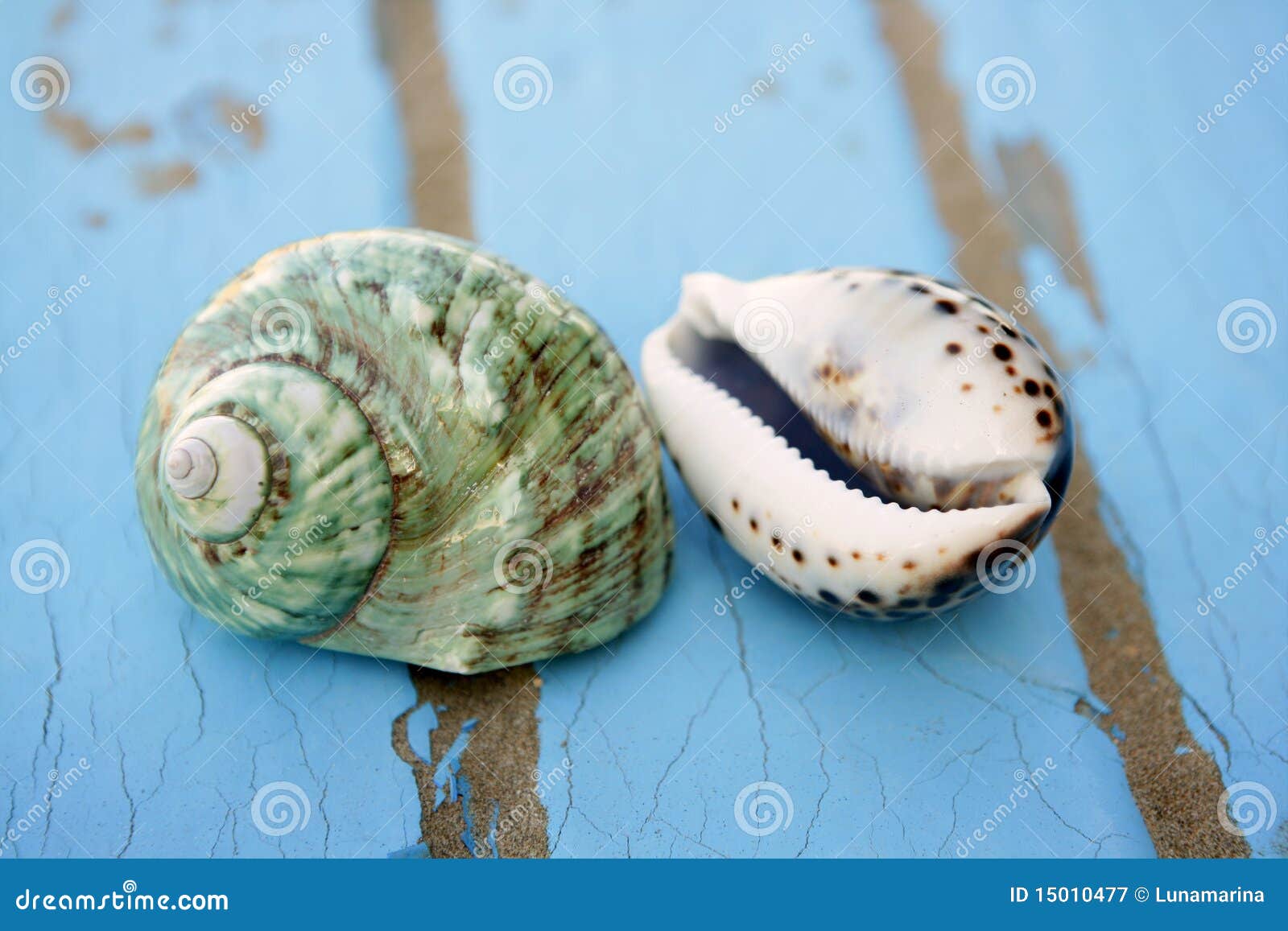 Blue Wooden Beach Floor Green Sea Shell Stock Image - Image of aged ...