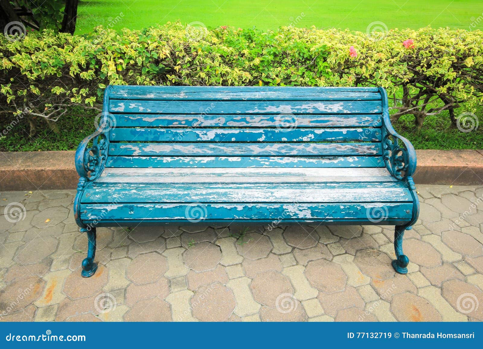 Blue wooden bench stock image. Image of blue, chair, green - 77132719