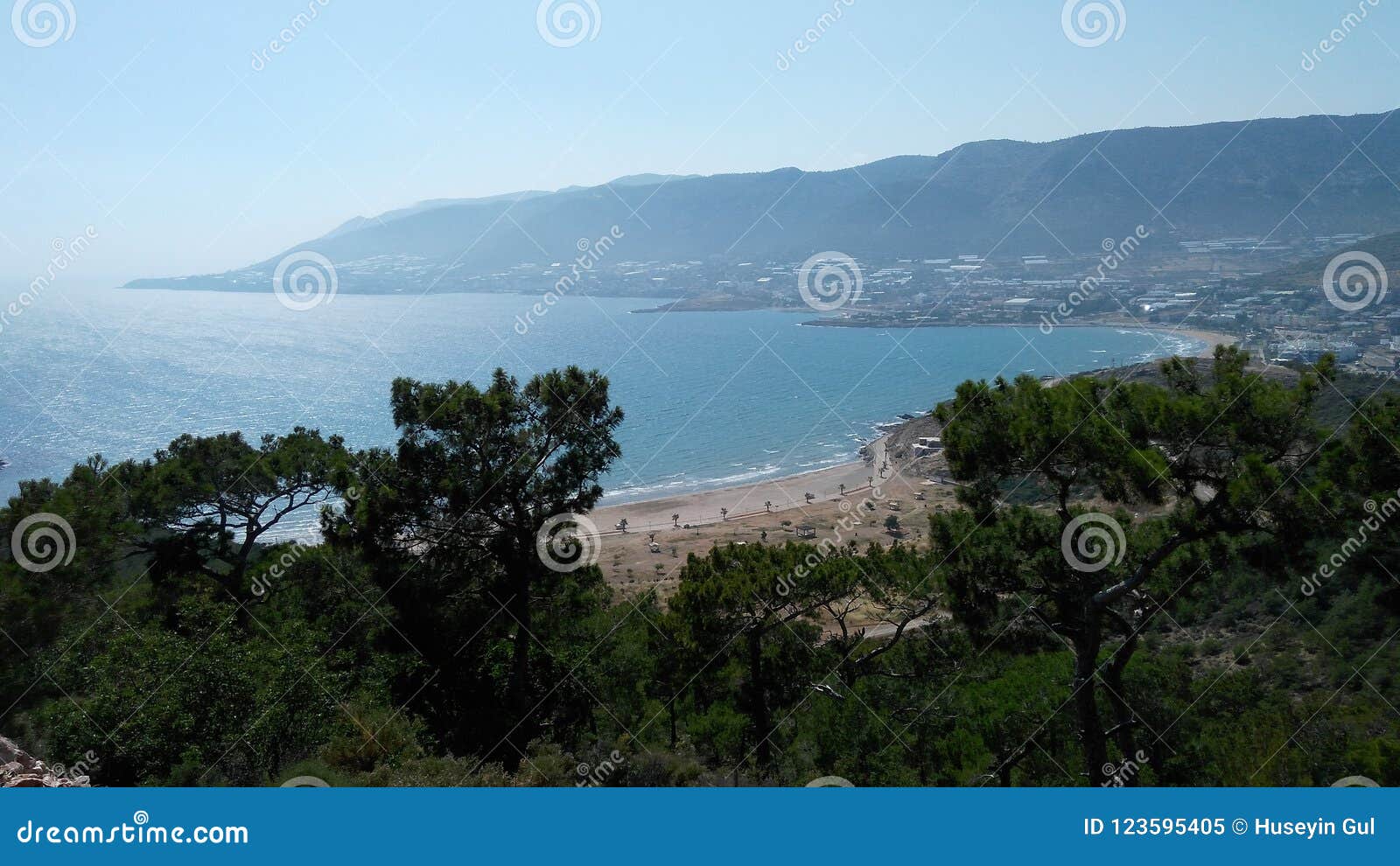 Sea and forest stock image. Image of forest, blue, world - 123595405