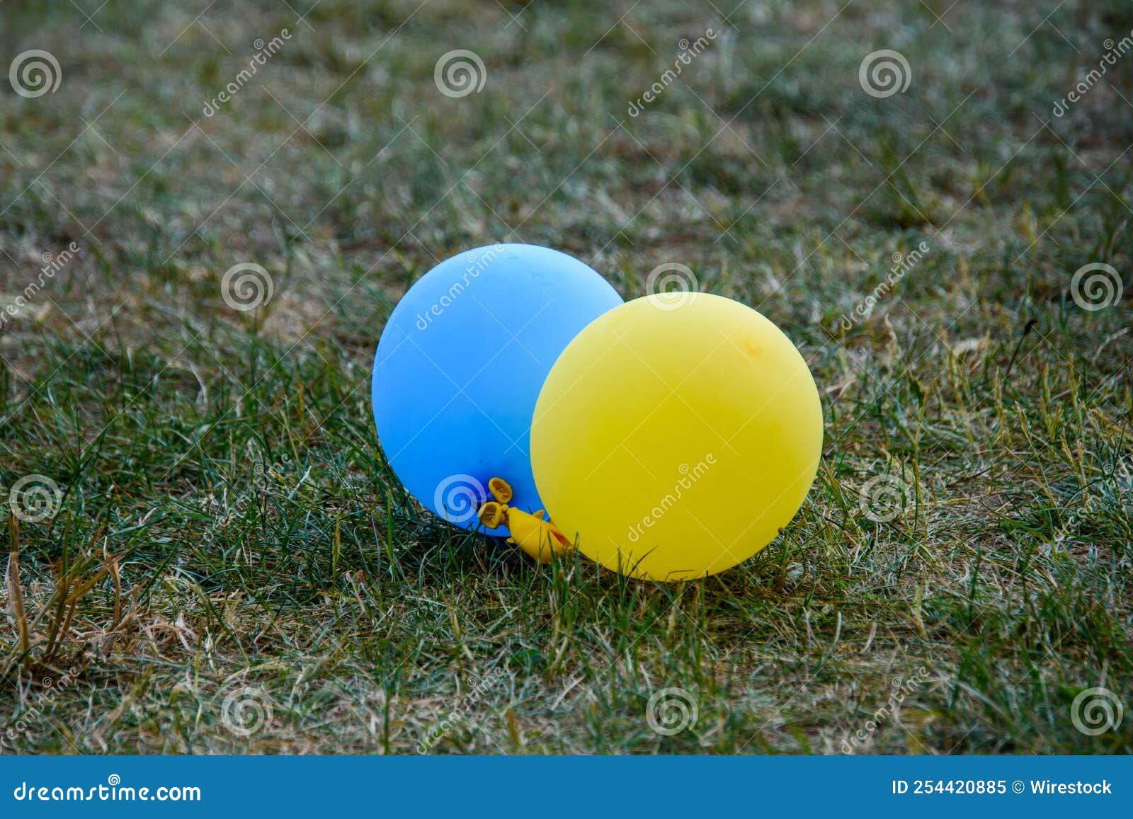 Blue and Yellow Balloons on the Grass Stock Image - Image of outdoor ...