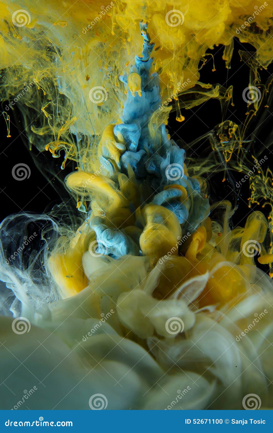 7,493 Underwater Ink Stock Photos - Free & Royalty-Free Stock Photos ...