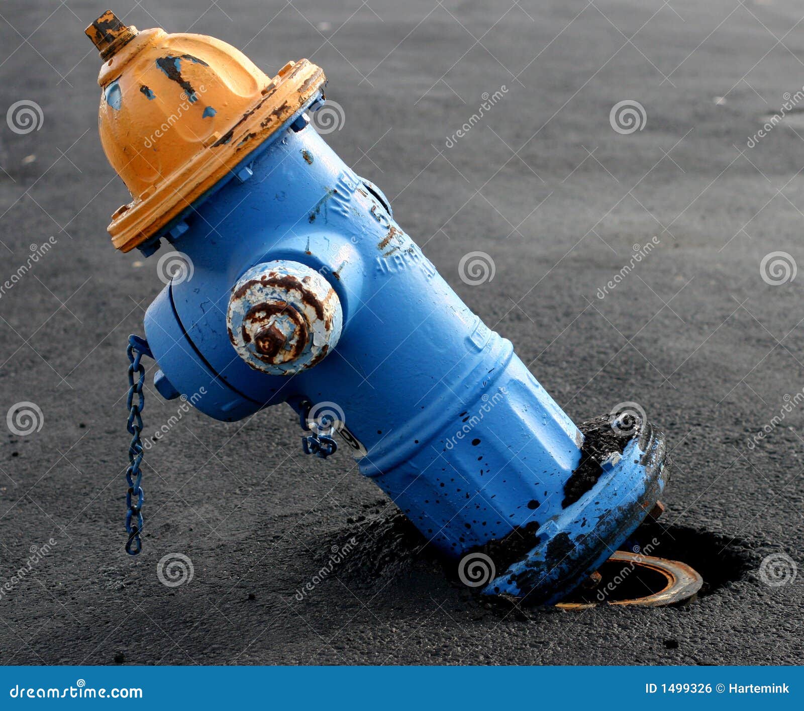 Blue and Yellow Fire Hydrant Stock Photo - Image of system, public: 1499326