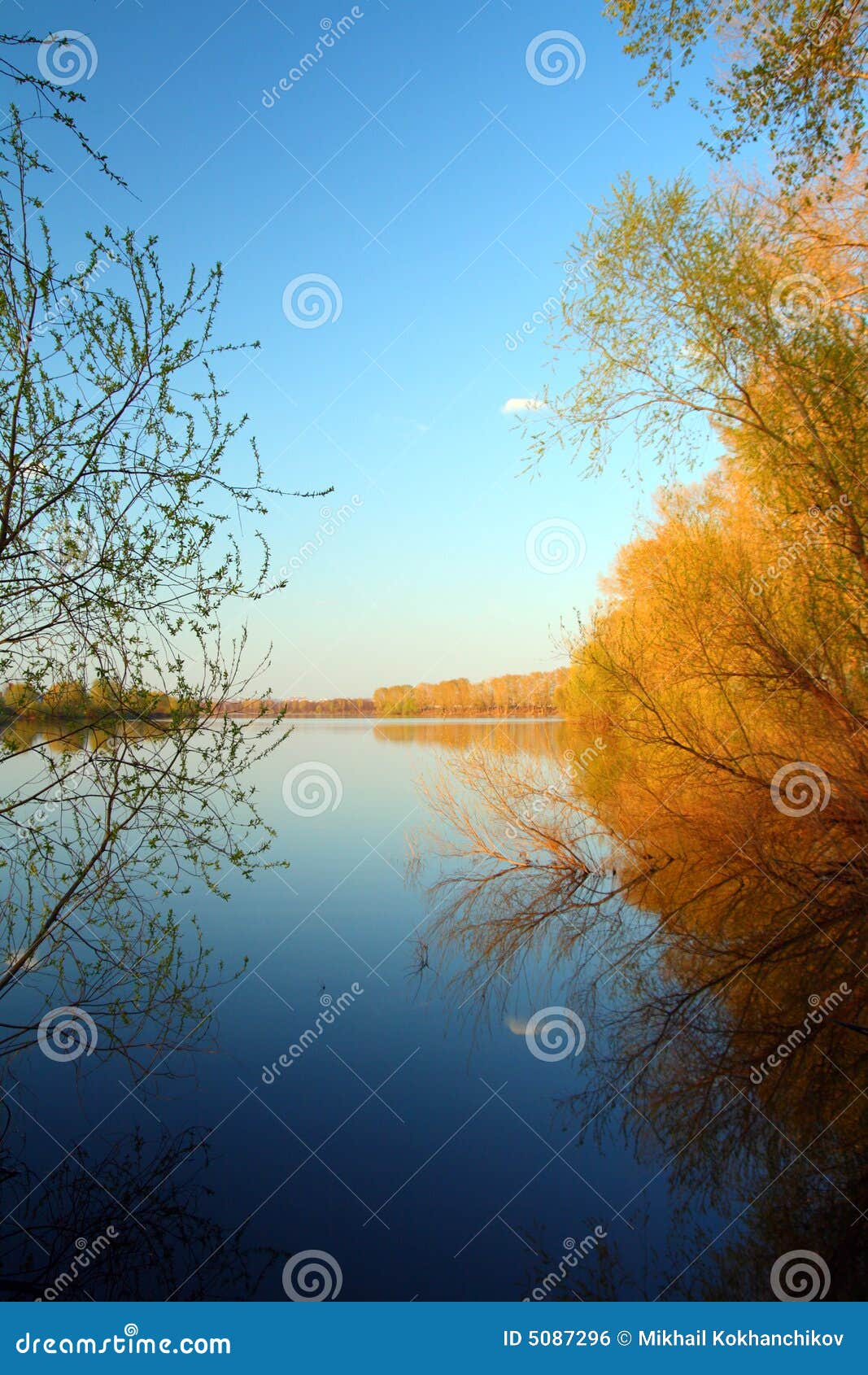 Yellow Lake Trout Illustration In Light Pink And Silver Line Drawing ...