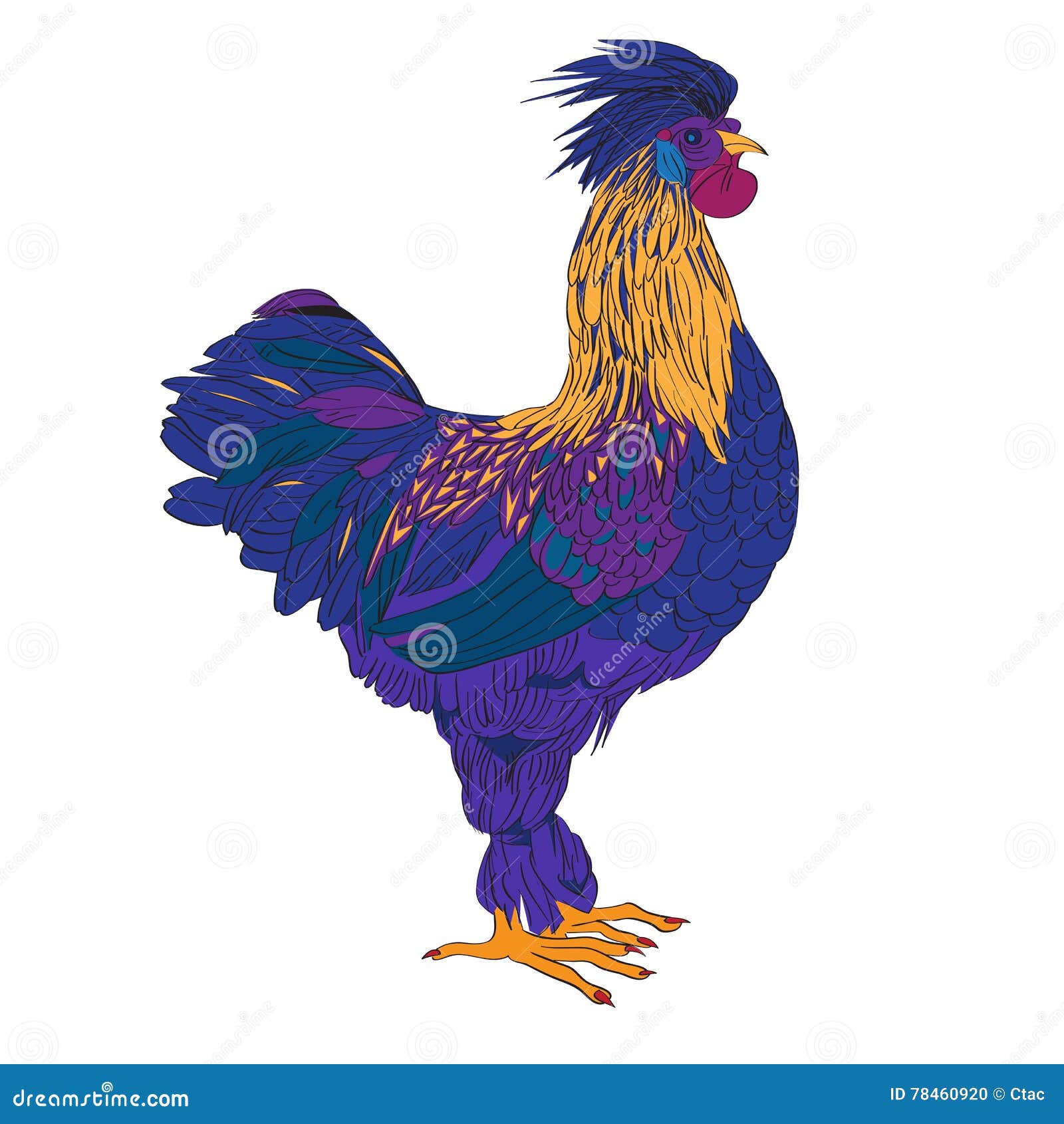 Blue and yellow rooster stock vector. Illustration of horoscope - 78460920