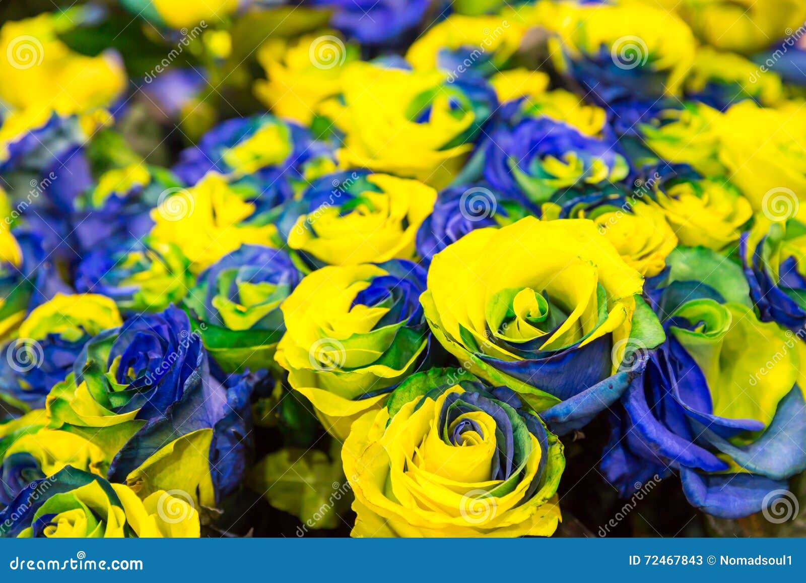 Yellow Rose Bouquet With Blue
