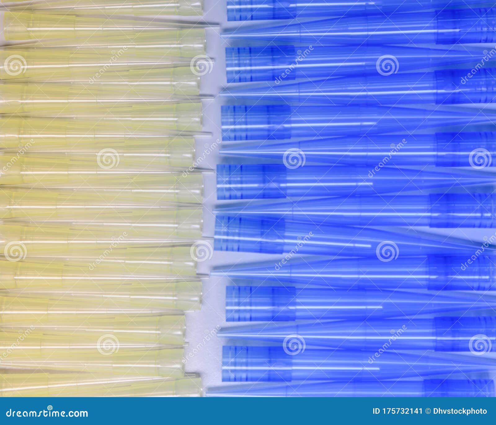 Blue and Yellow Universal Laboratory Pipet Tips. Laboratory and Science ...