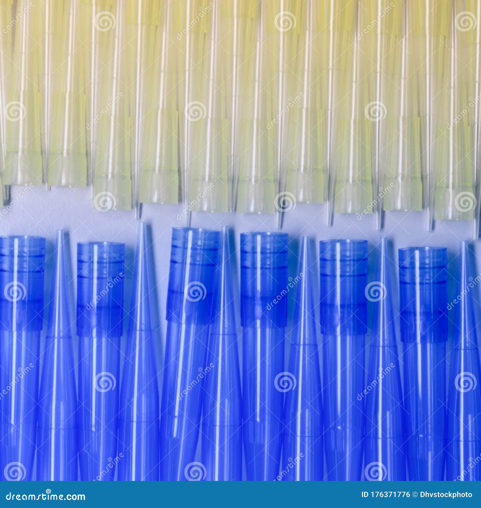 Blue and Yellow Universal Laboratory Pipet Tips. Laboratory and Science ...