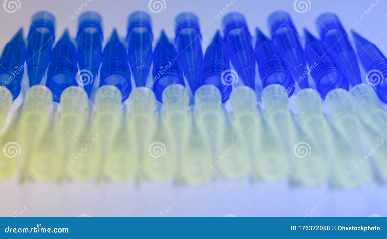 Blue and Yellow Universal Laboratory Pipet Tips. Laboratory and Science ...