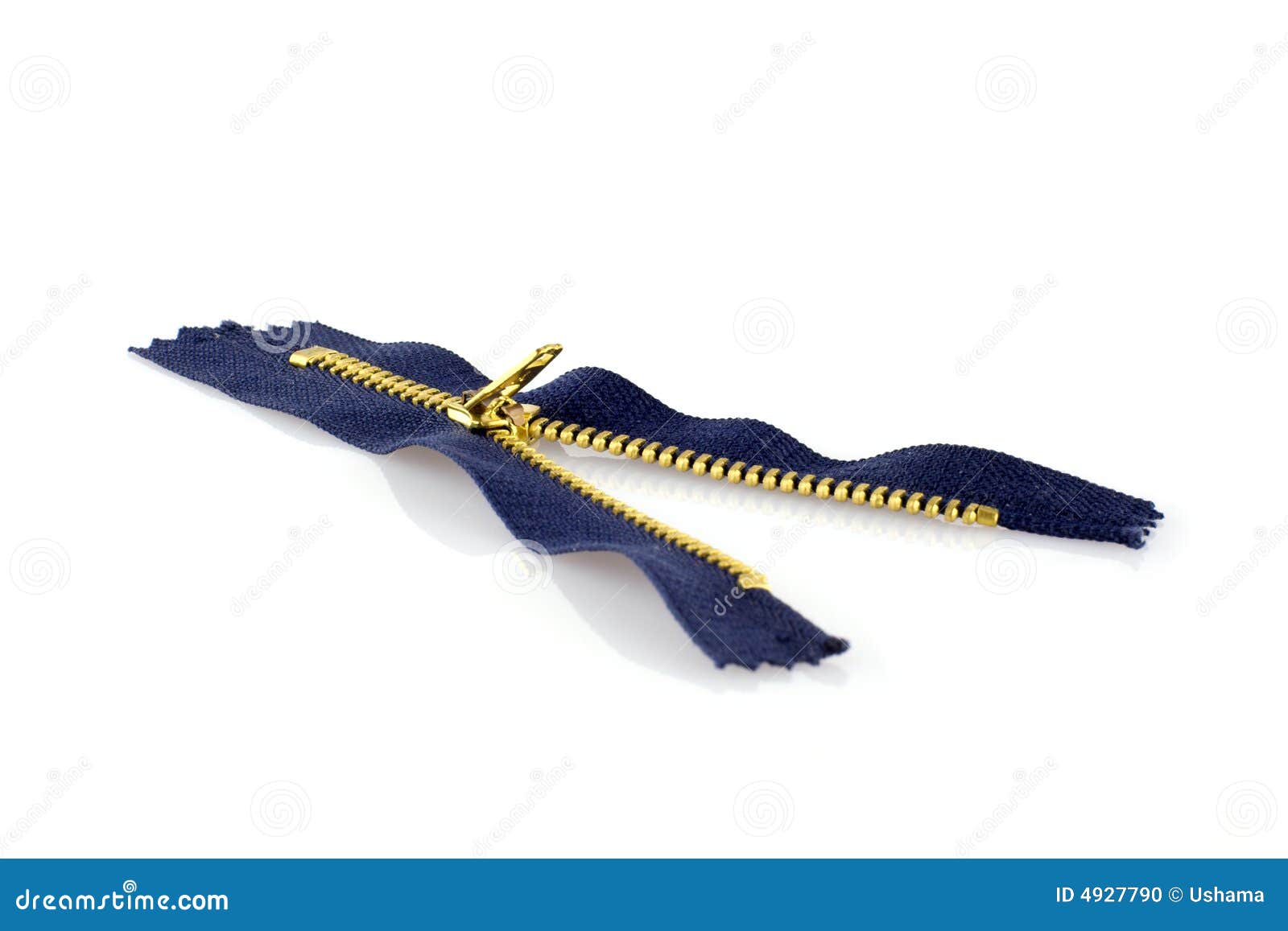 Blue zipper isolated stock photo. Image of gold, series - 4927790
