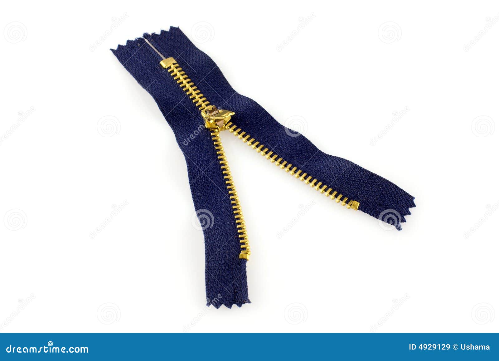 Blue zipper isolated stock image. Image of series, dividing - 4929129