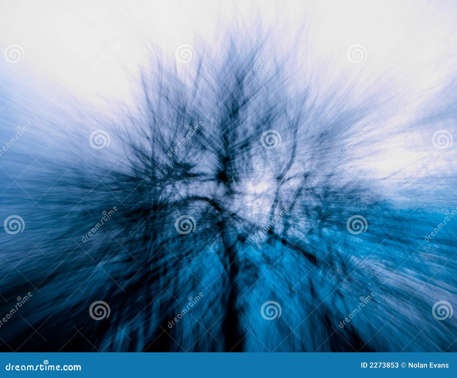Blue Zoomed Trees #3 stock image. Image of energy, bright - 2273853