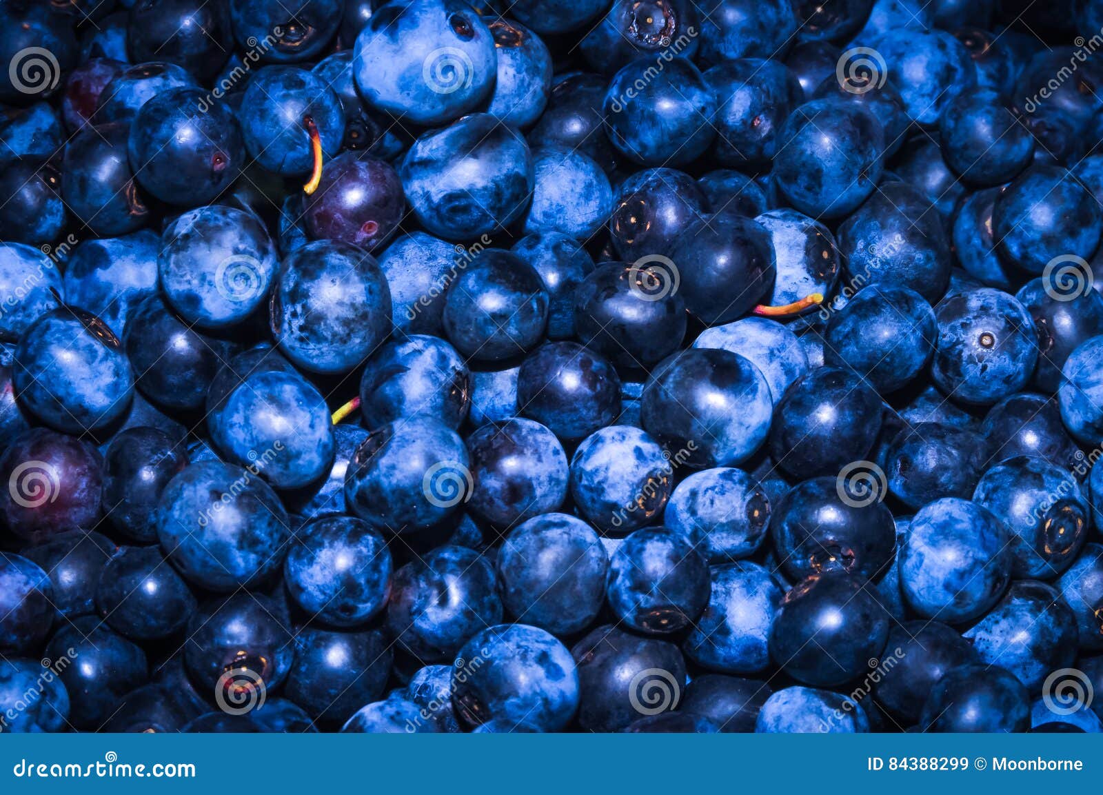 Bluebarries stock image. Image of curve, dieting, blueberry - 84388299
