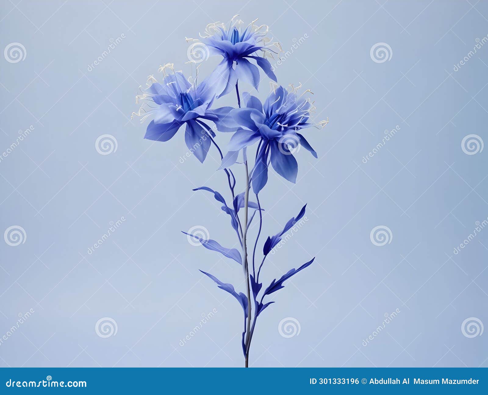 Bluebell Flower in Studio Background, Single Bluebell Flower, Beautiful ...