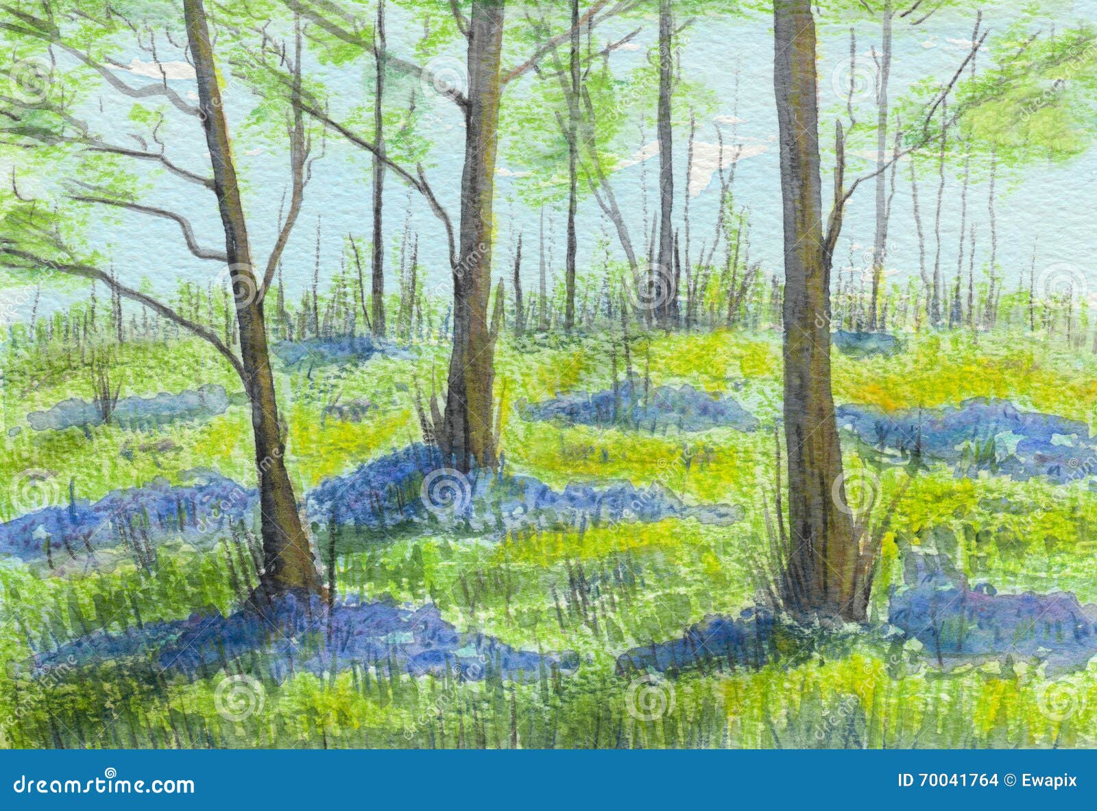 Bluebell Woods in Springtime. Stock Illustration - Illustration of ...