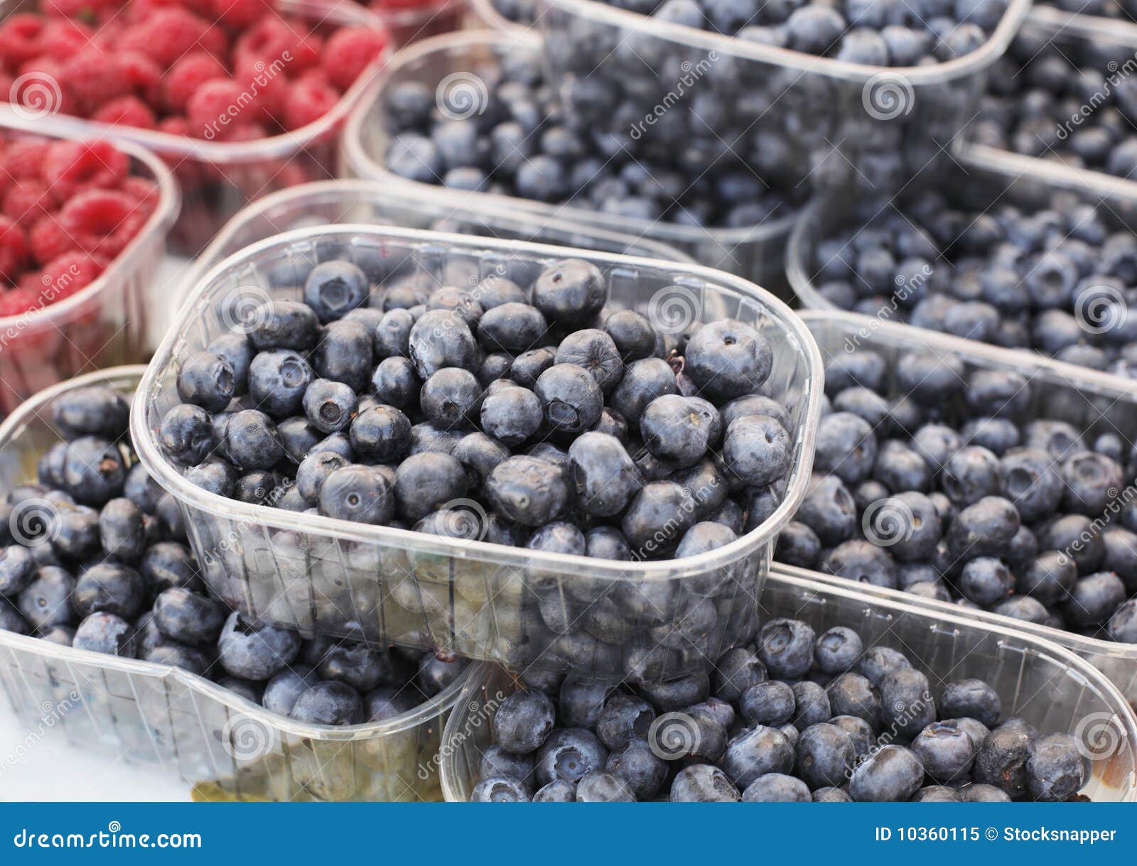 Blueberries stock image. Image of container, edible, berry - 10360115
