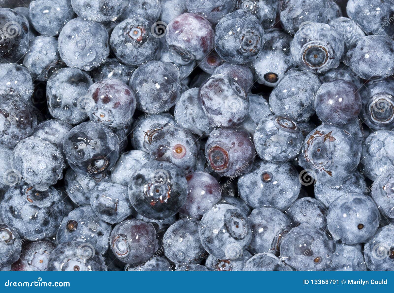 Blueberries stock image. Image of berry, fresh, diet - 13368791