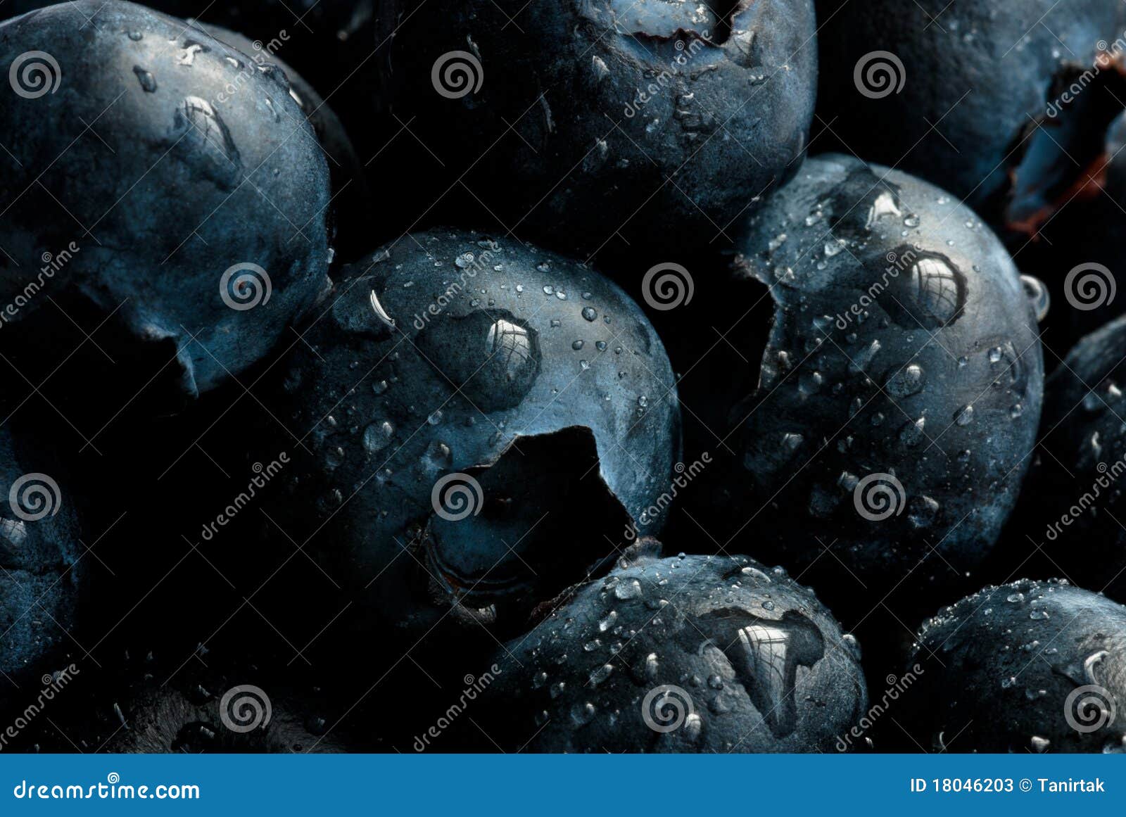 Blueberries stock image. Image of blueberries, orientation - 18046203