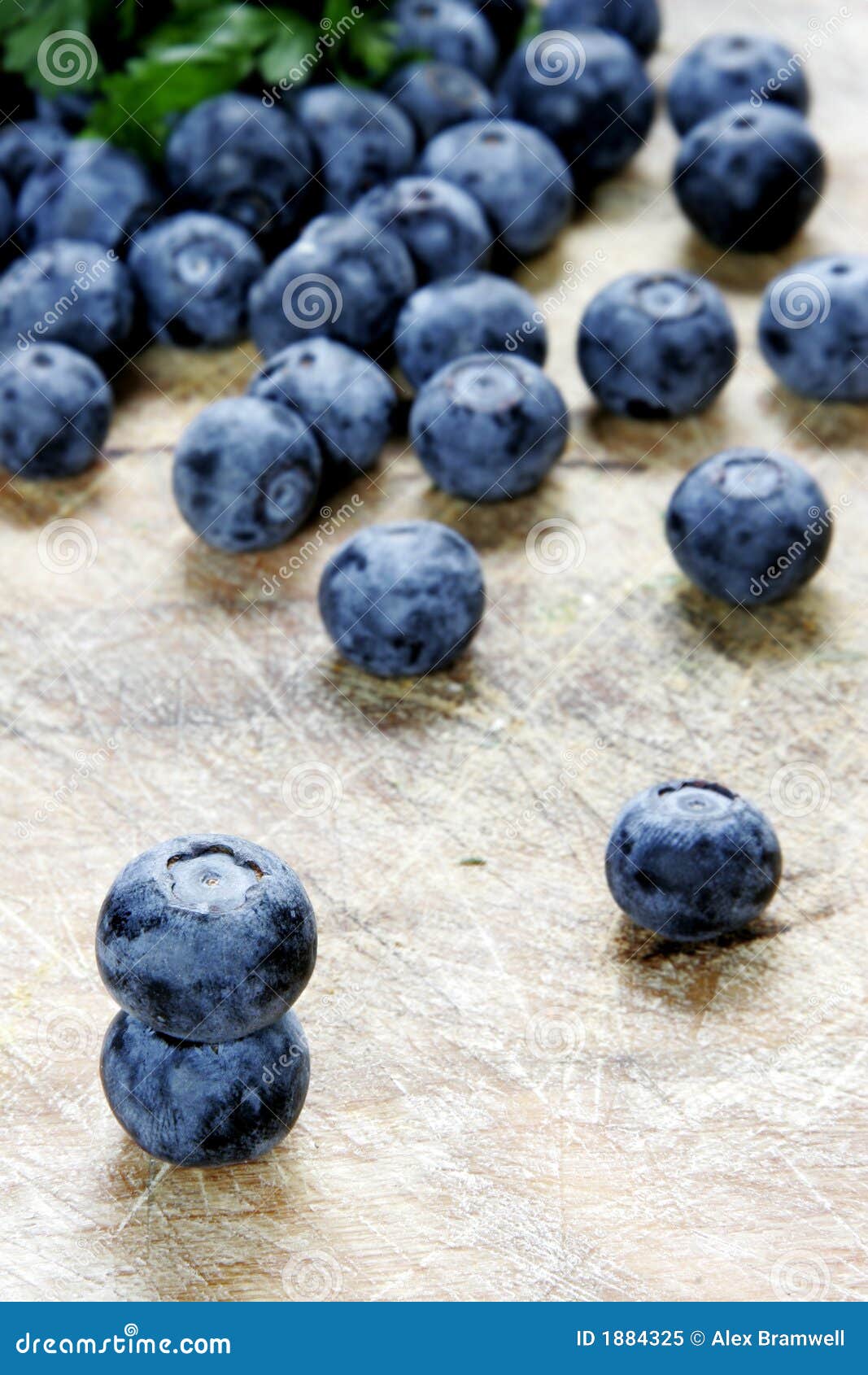 Blueberries stock image. Image of sweet, nutritious, blueberries - 1884325