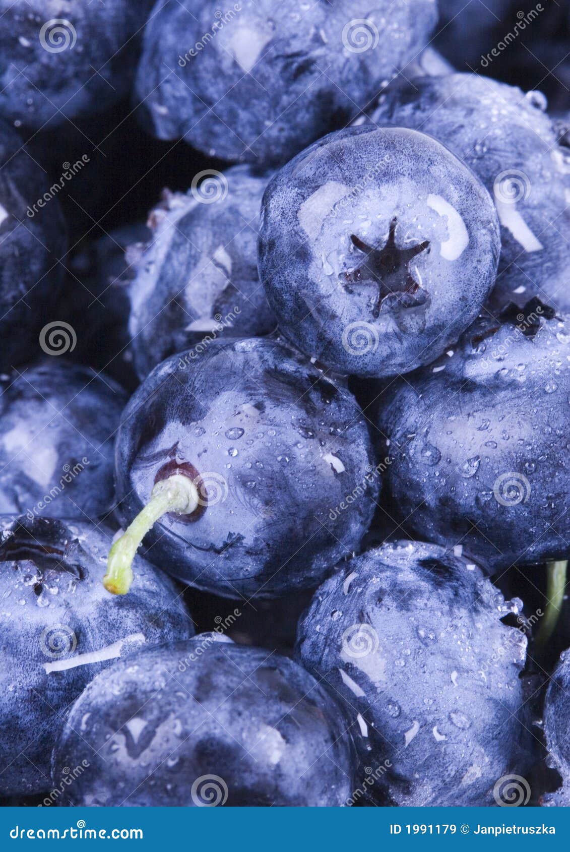 Blueberries stock image. Image of fruit, detail, cleanliness - 1991179