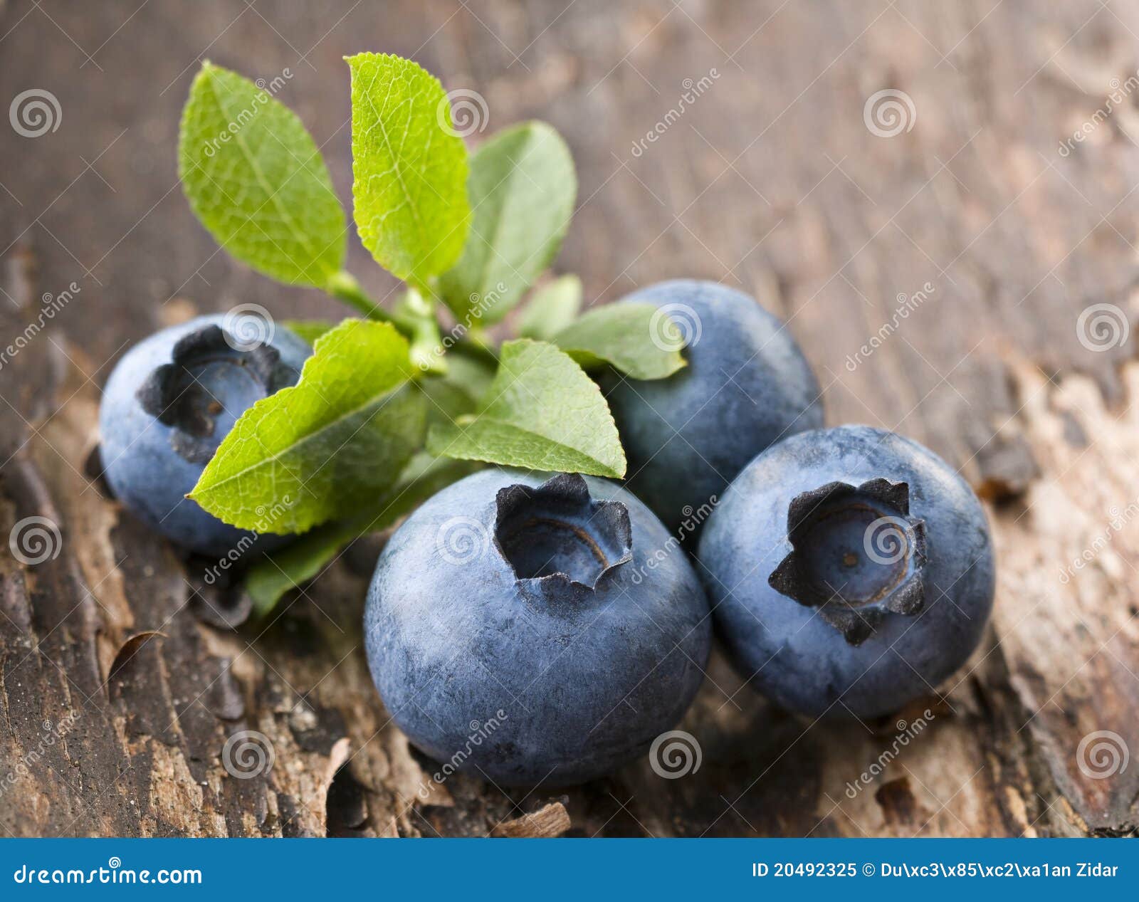 Blueberries stock image. Image of ripe, vintage, berry - 20492325