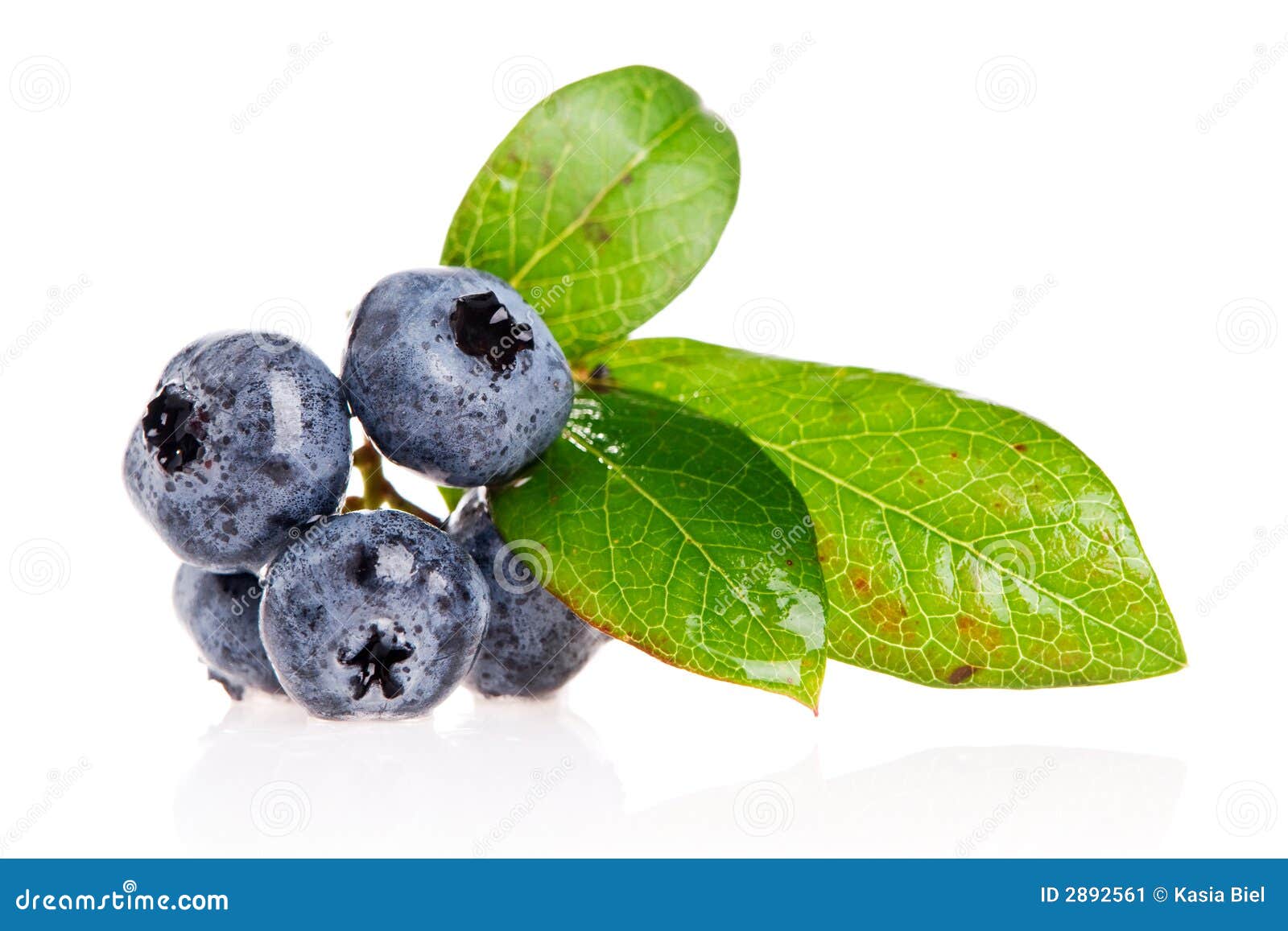 Blueberries stock image. Image of fruit, blueberries, shadow - 2892561