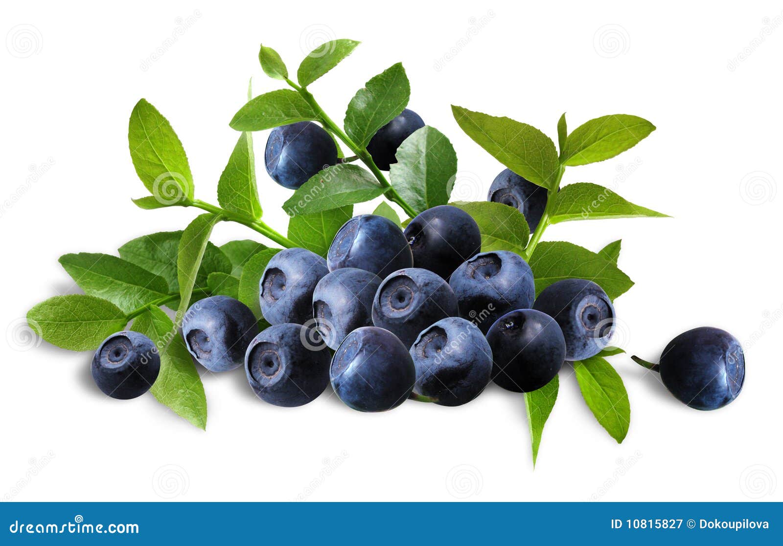 Isolated Blueberries With Dew: Ripe Tropical Fruits On Transparent ...