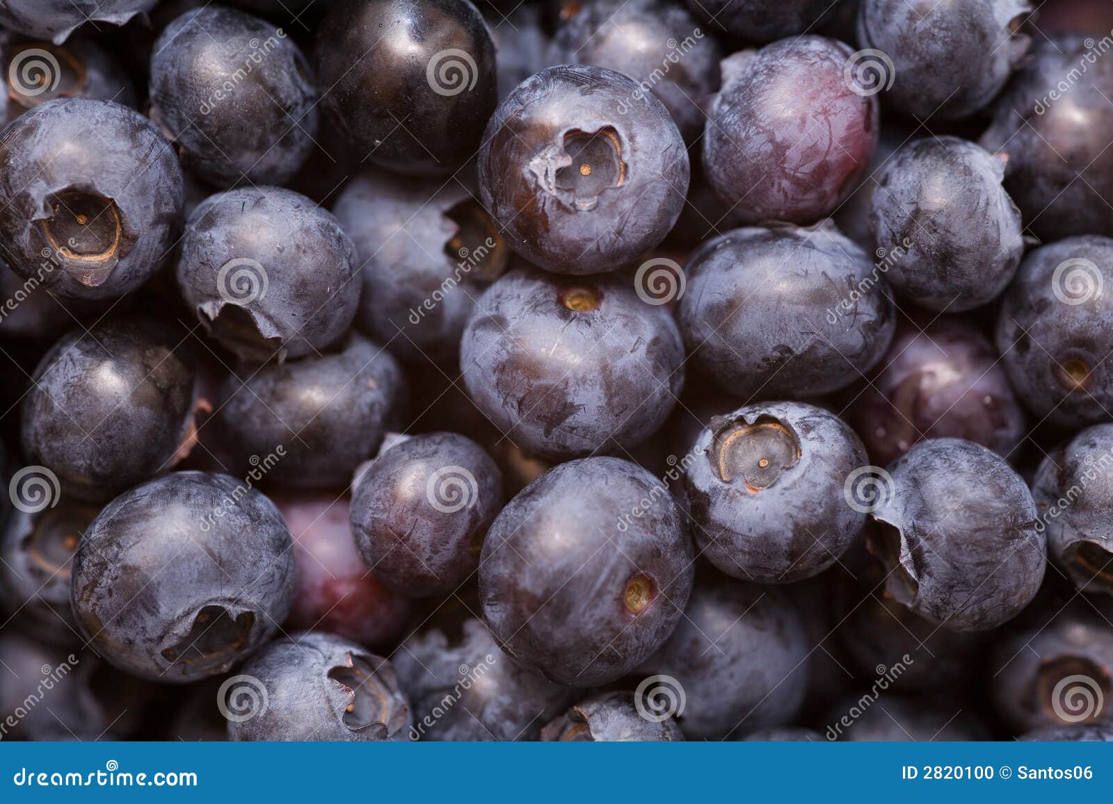 Blueberries background stock photo. Image of summer, whortleberries ...