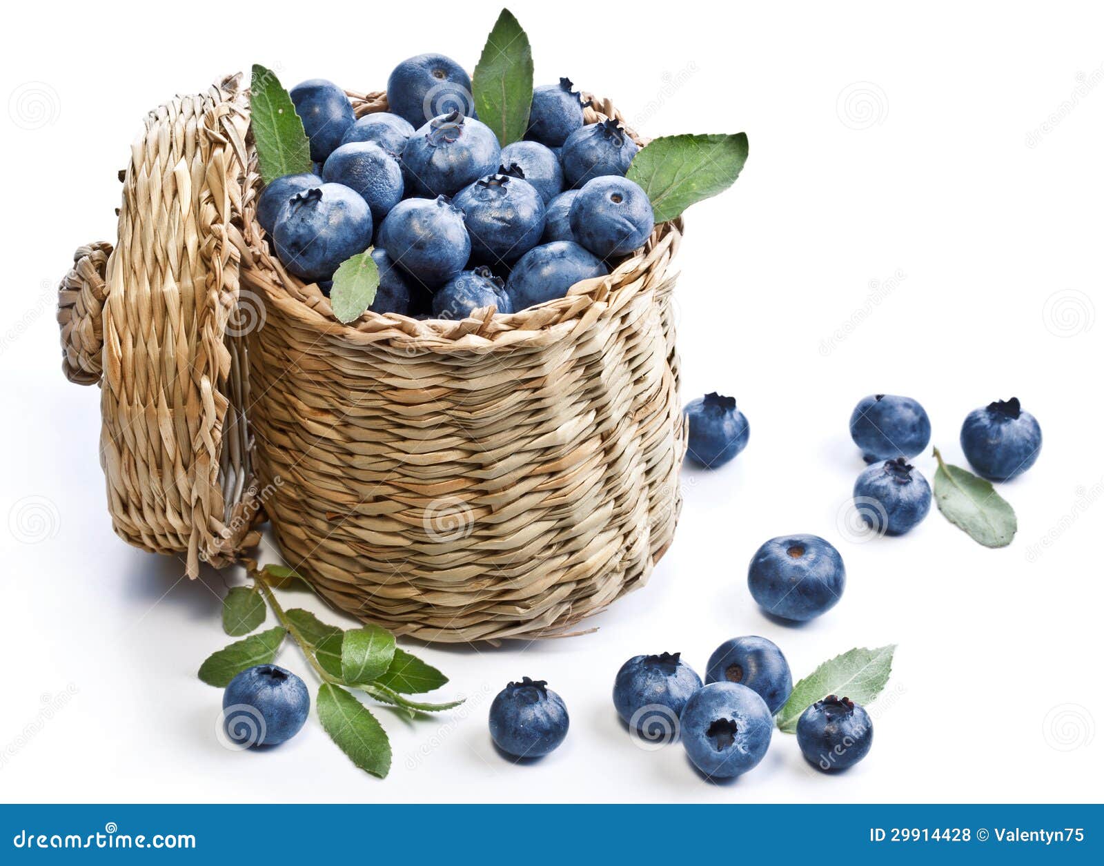 Blueberries in a basket stock photo. Image of basket - 29914428