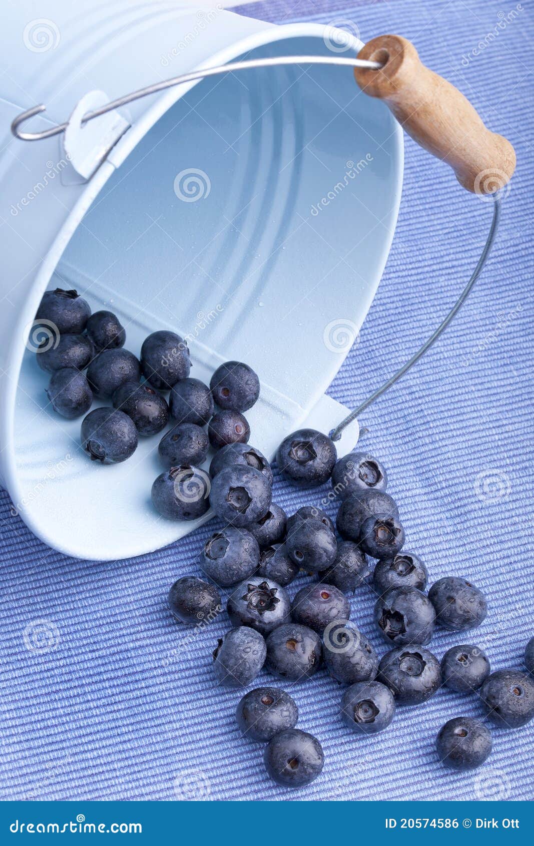 Blueberries in a bucket stock photo. Image of blue, drop - 20574586