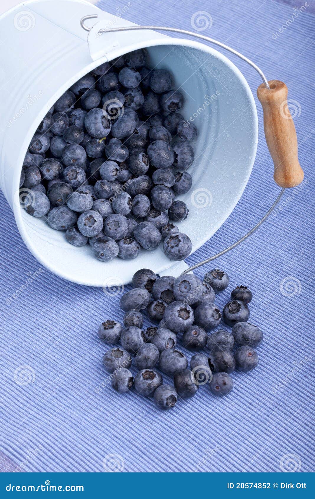 Blueberries in a bucket stock photo. Image of agriculture - 20574852