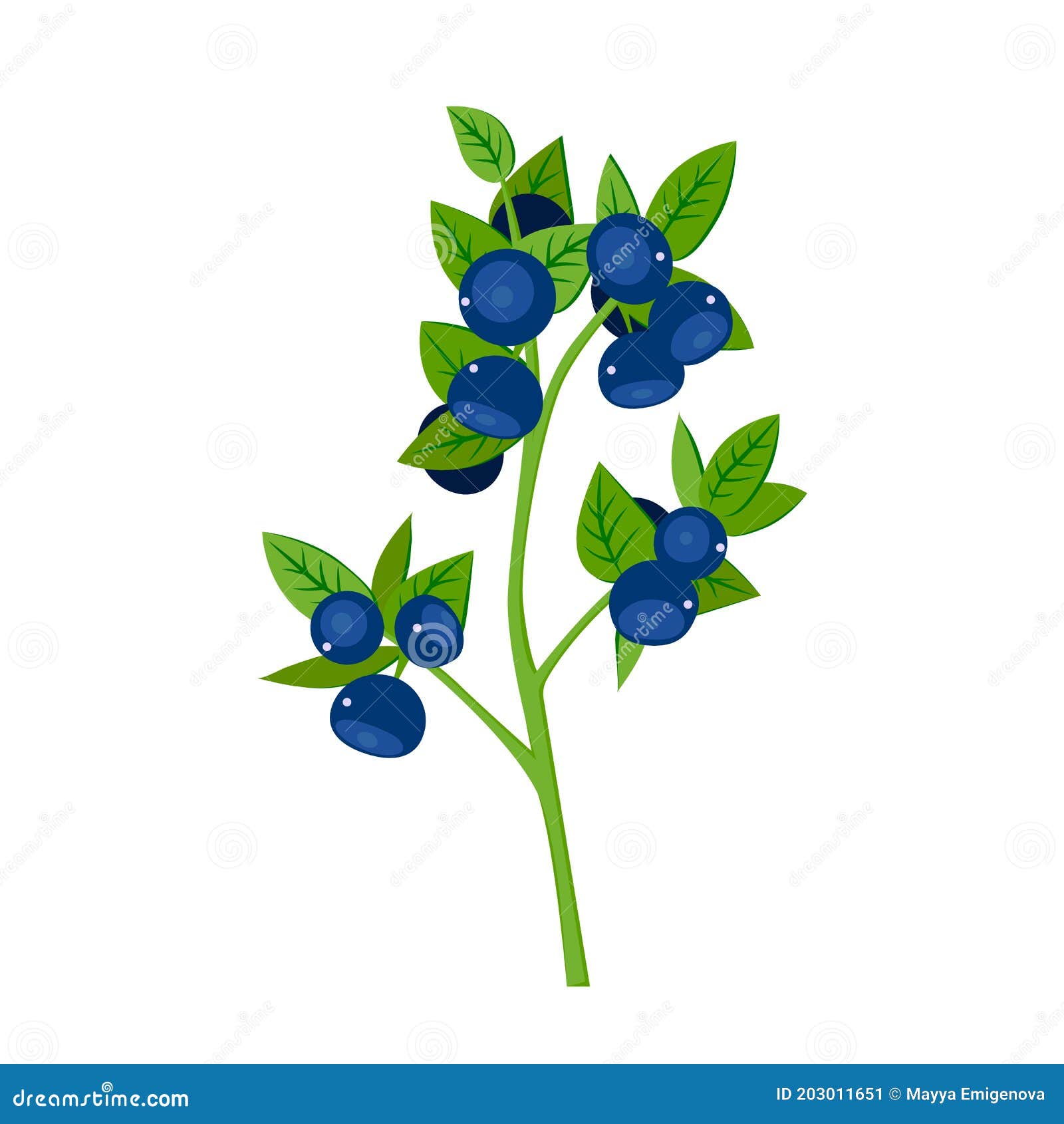 Blueberries on the bush stock vector. Illustration of fresh - 203011651