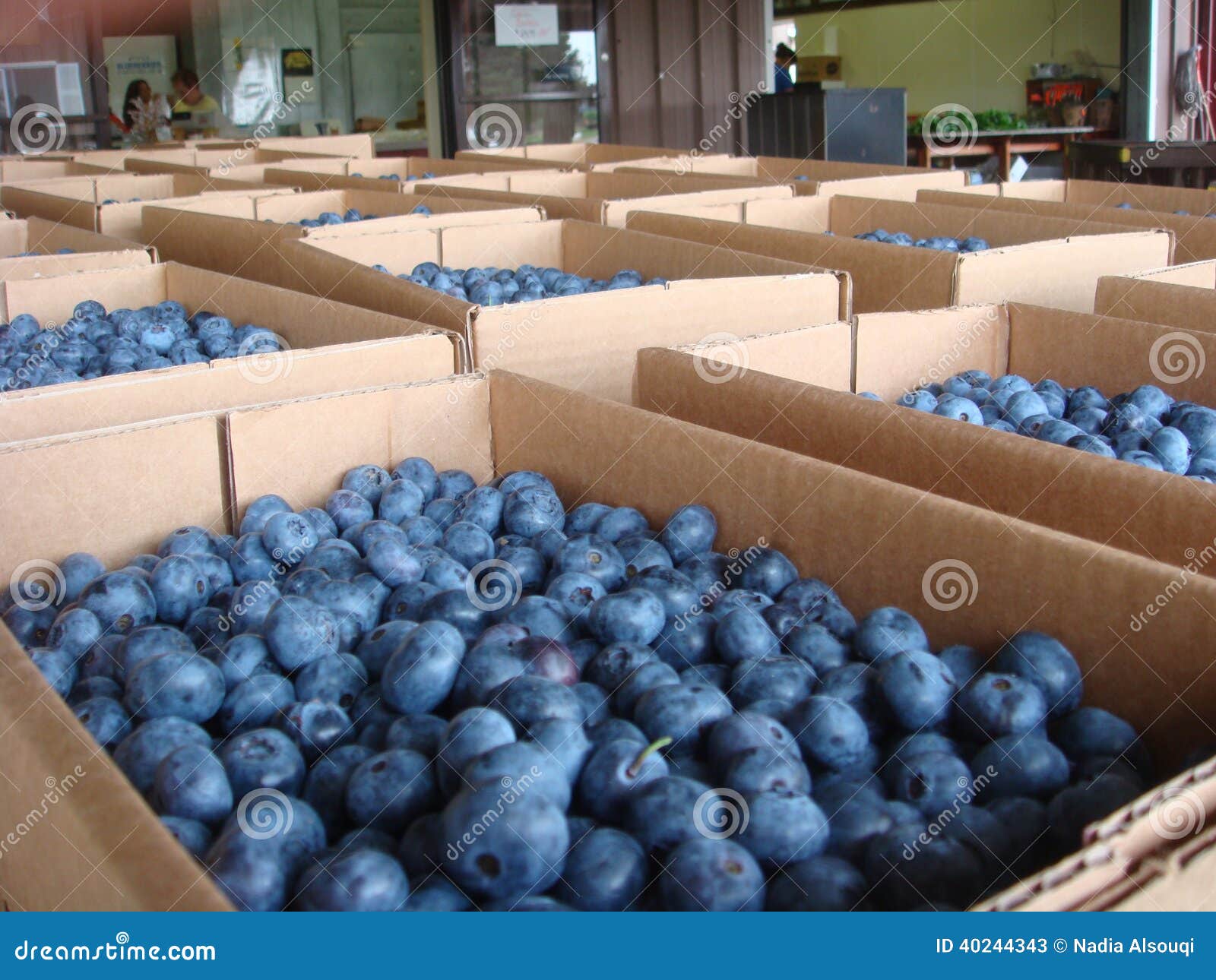 Blueberries stock image. Image of brown, round, healthy - 40244343
