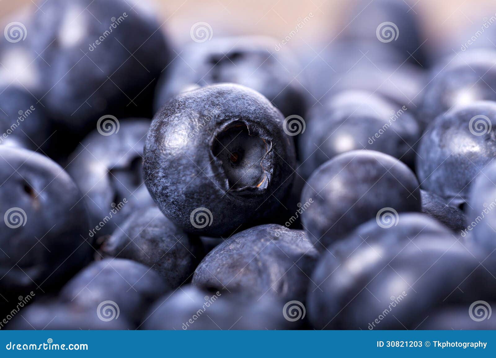 Blueberries stock image. Image of nature, delicious, natural - 30821203