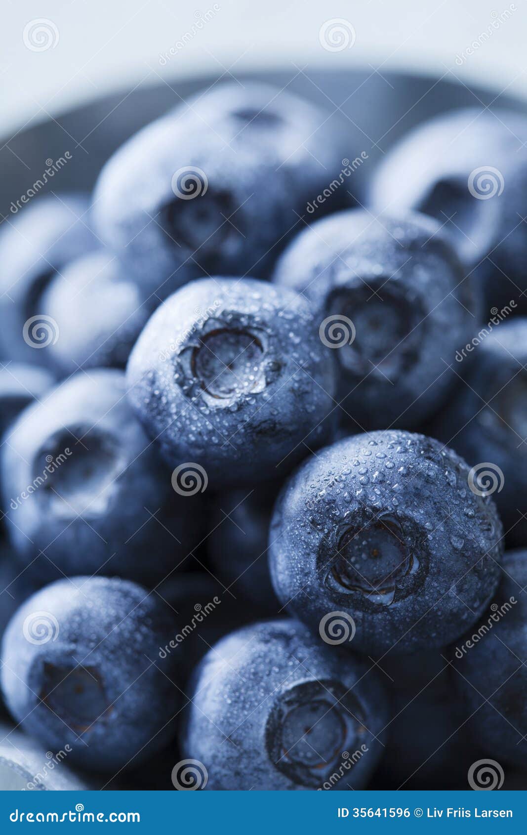 Blueberries stock photo. Image of berry, healthy, food - 35641596