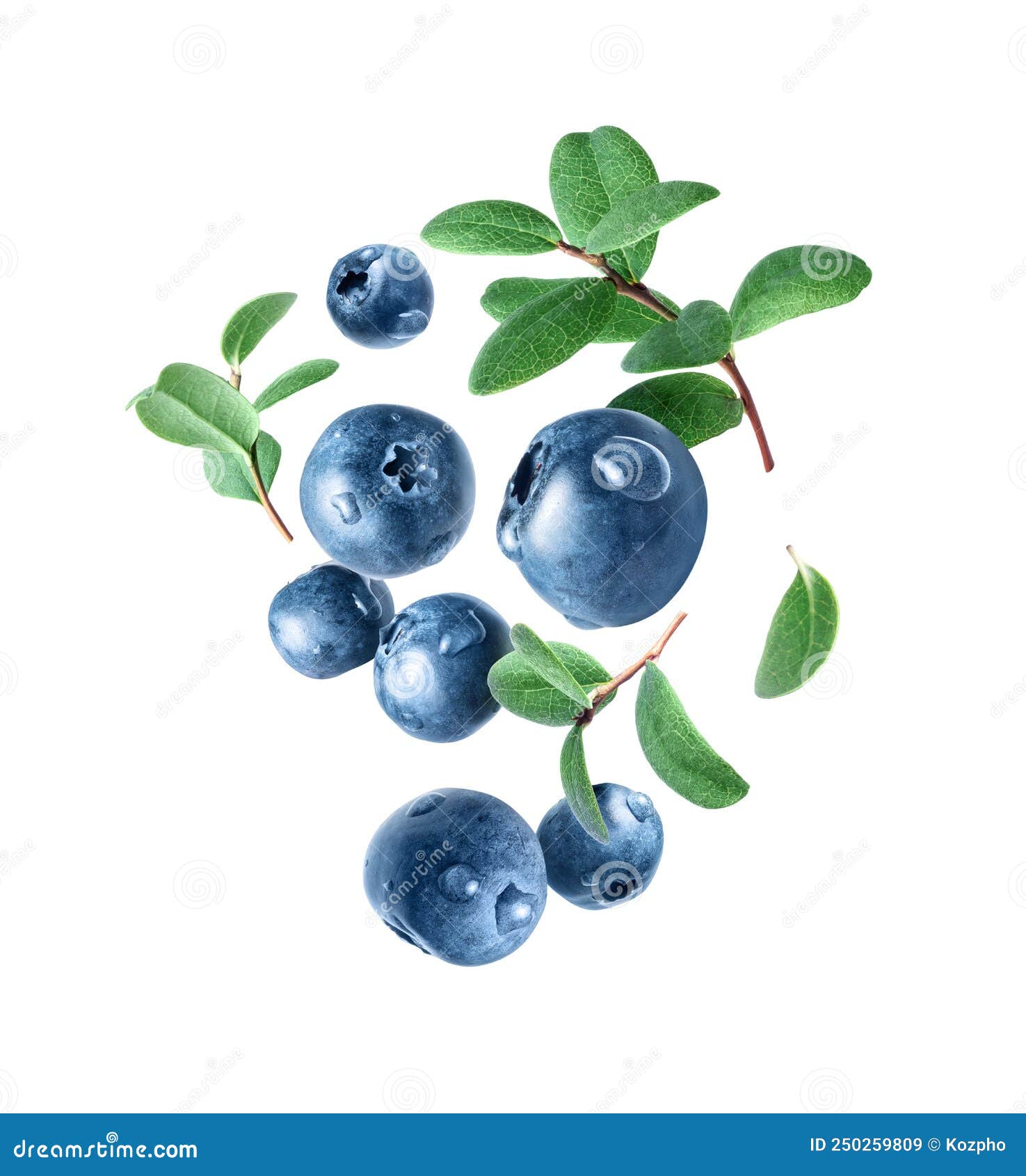 Blueberries with Dew Drops in the Air Closeup Isolated on a White ...