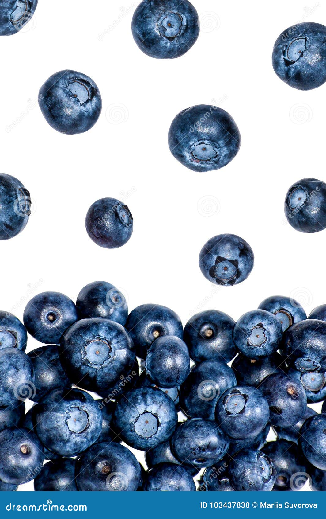 Blueberries Falling on a Pile of Other Blueberries Stock Photo - Image ...