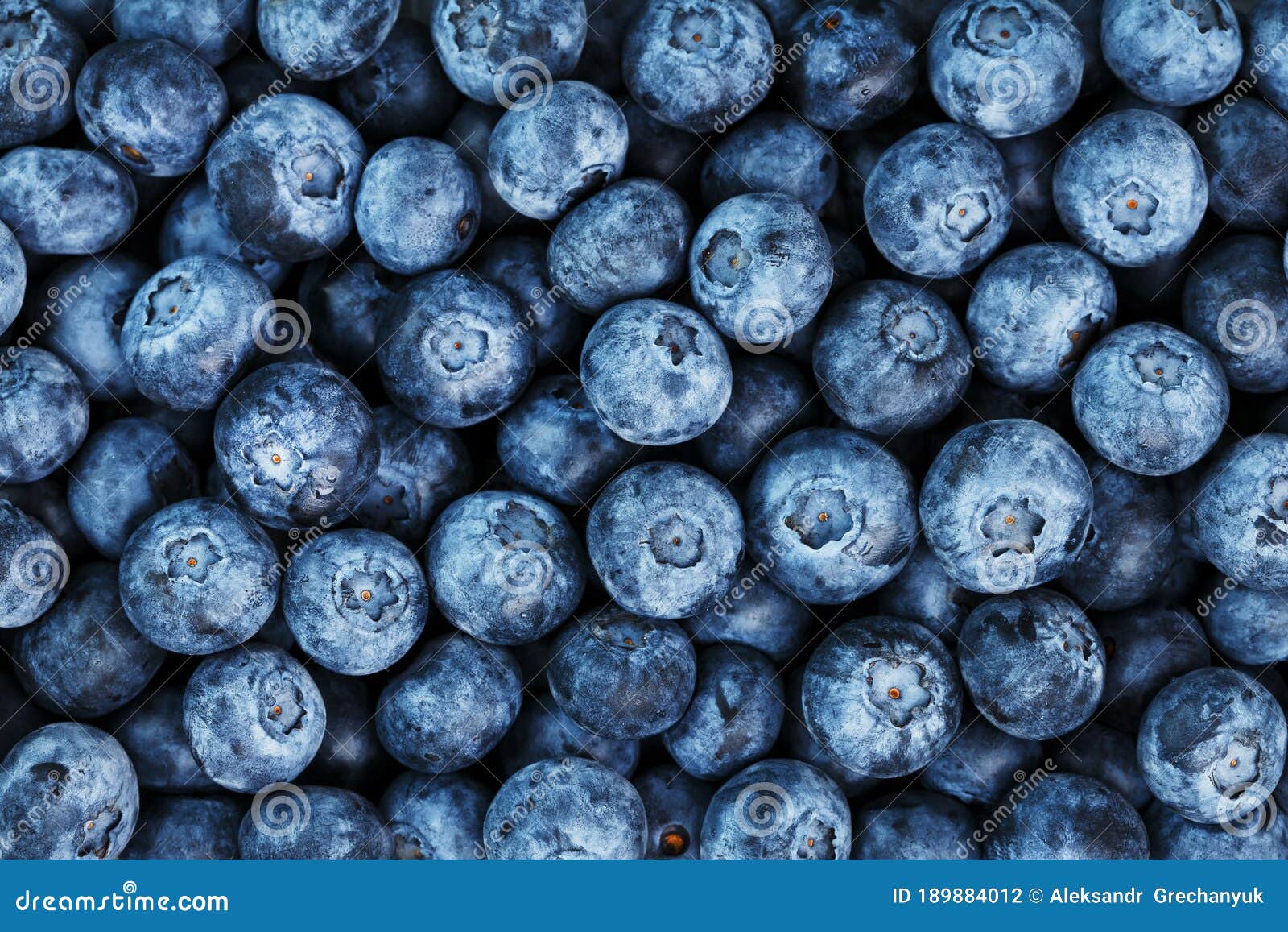 Blueberries in the Form of a Full-screen Texture. Stock Photo - Image ...