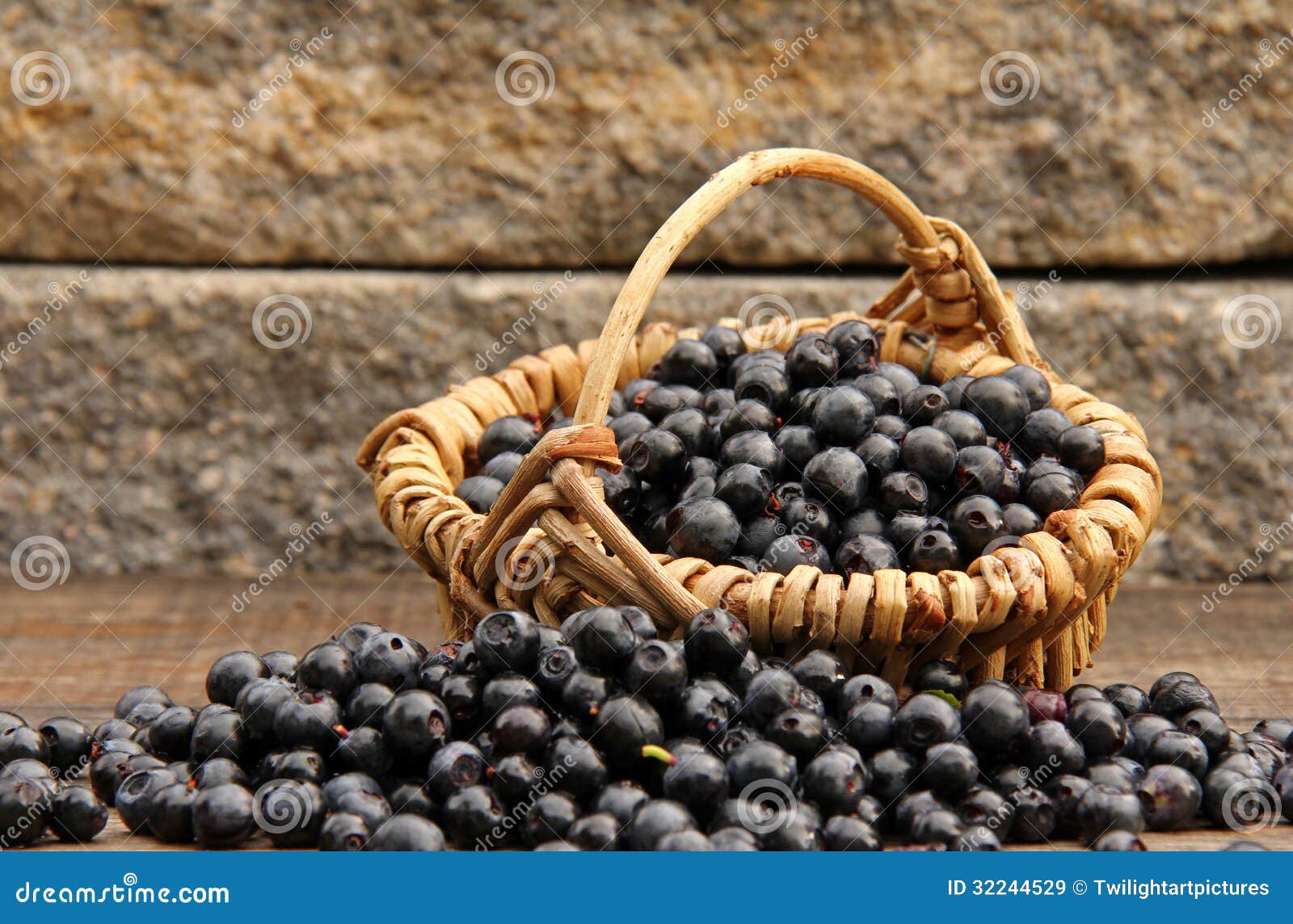 Blueberries stock image. Image of blueberrys, soft, forest - 32244529