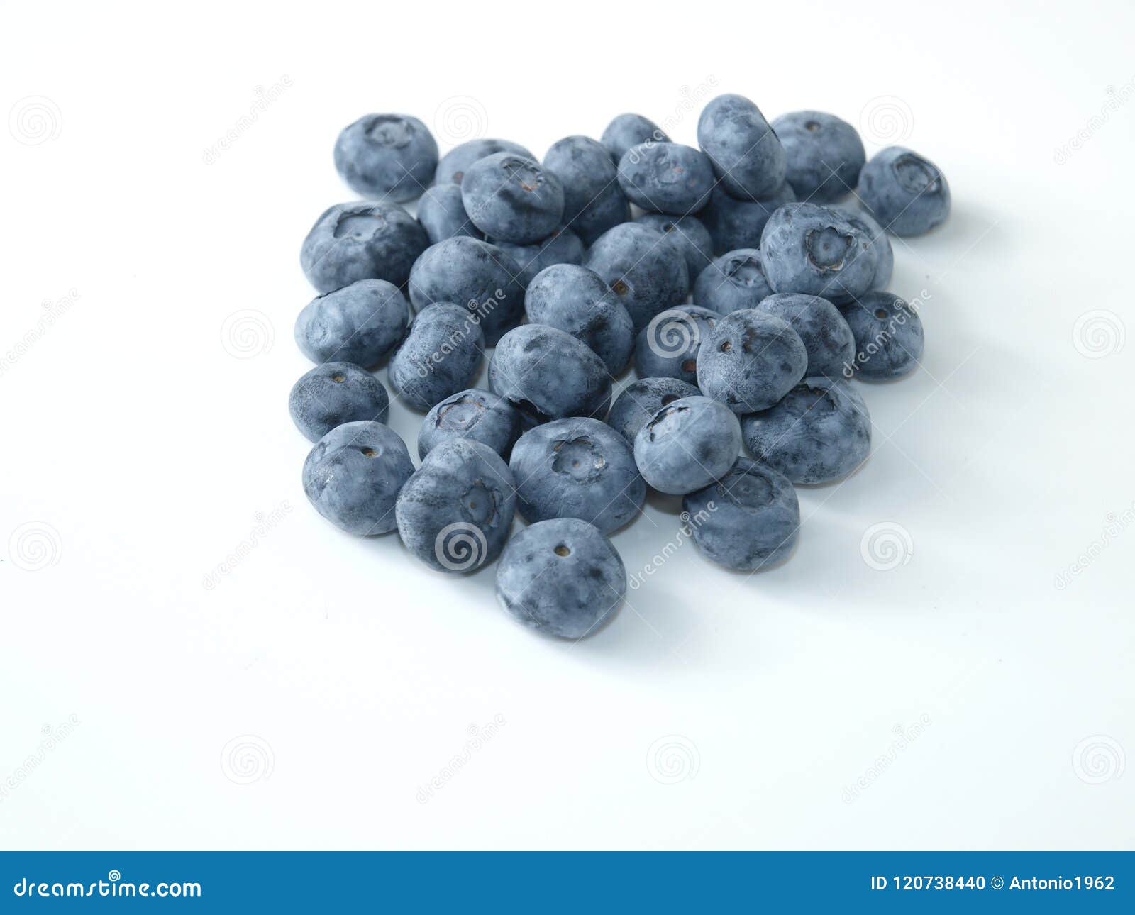 Blueberries Fruits on White Background Stock Photo - Image of forest ...