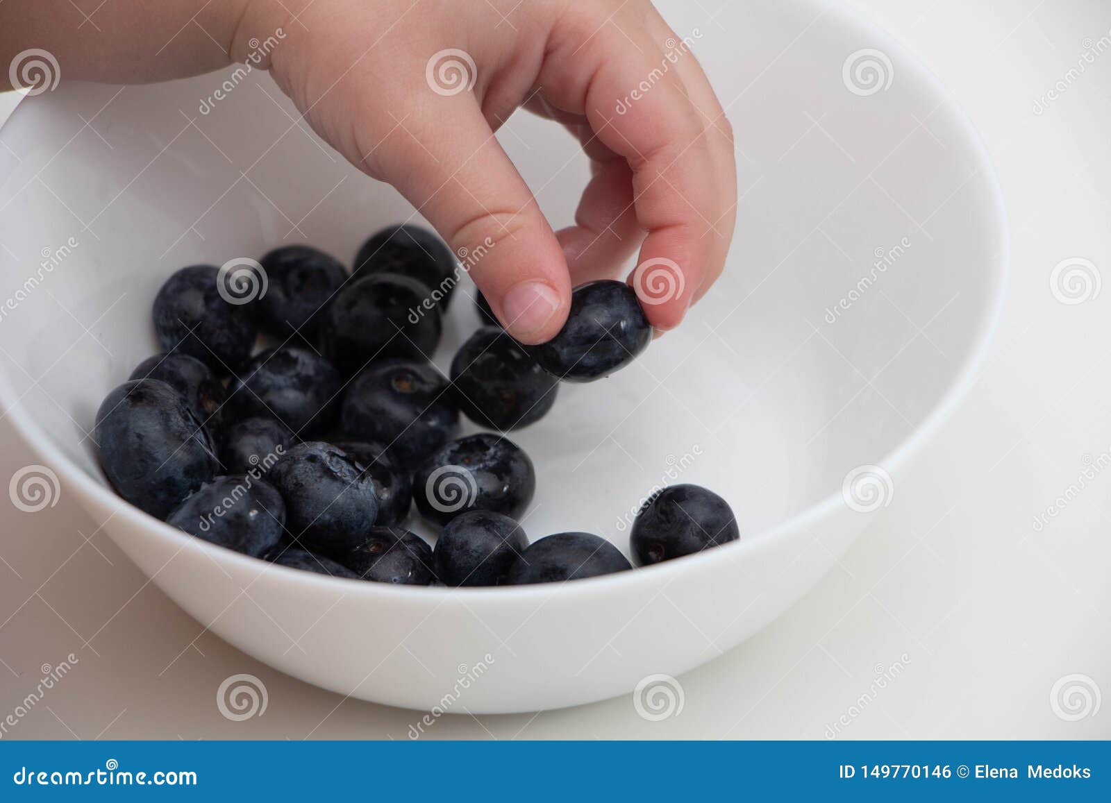 Blueberries in the Hands of a Child. Child`s Hand Takes Blueberries ...